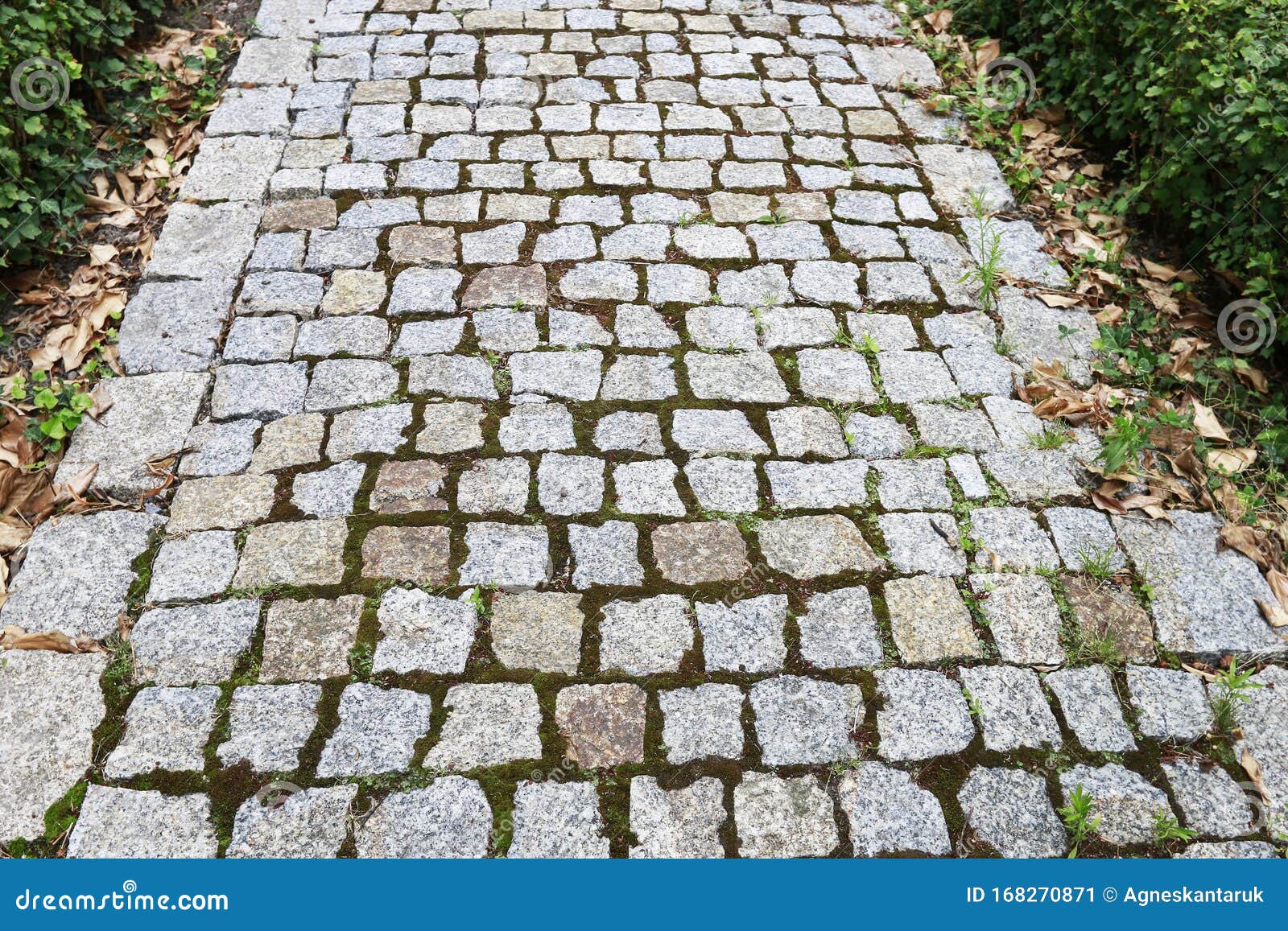 Cobbled path in the garden stock image. Image of garden - 168270871