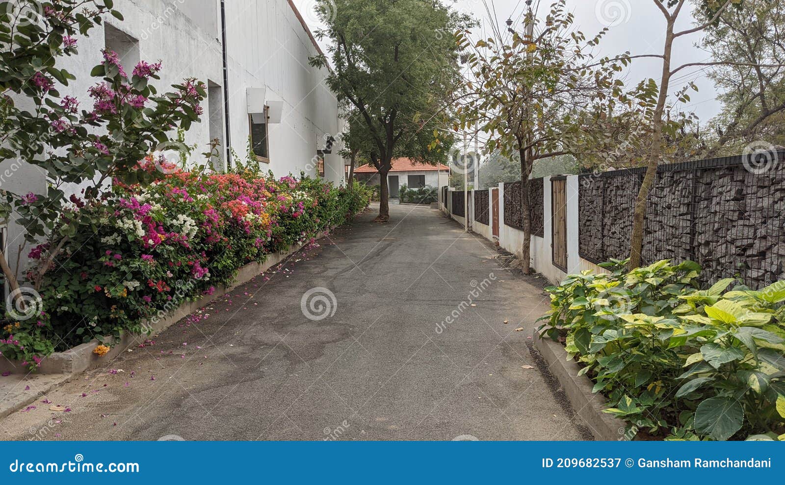 Cobbled Pathway with Rocks & Greenery Stock Image - Image of footpath ...