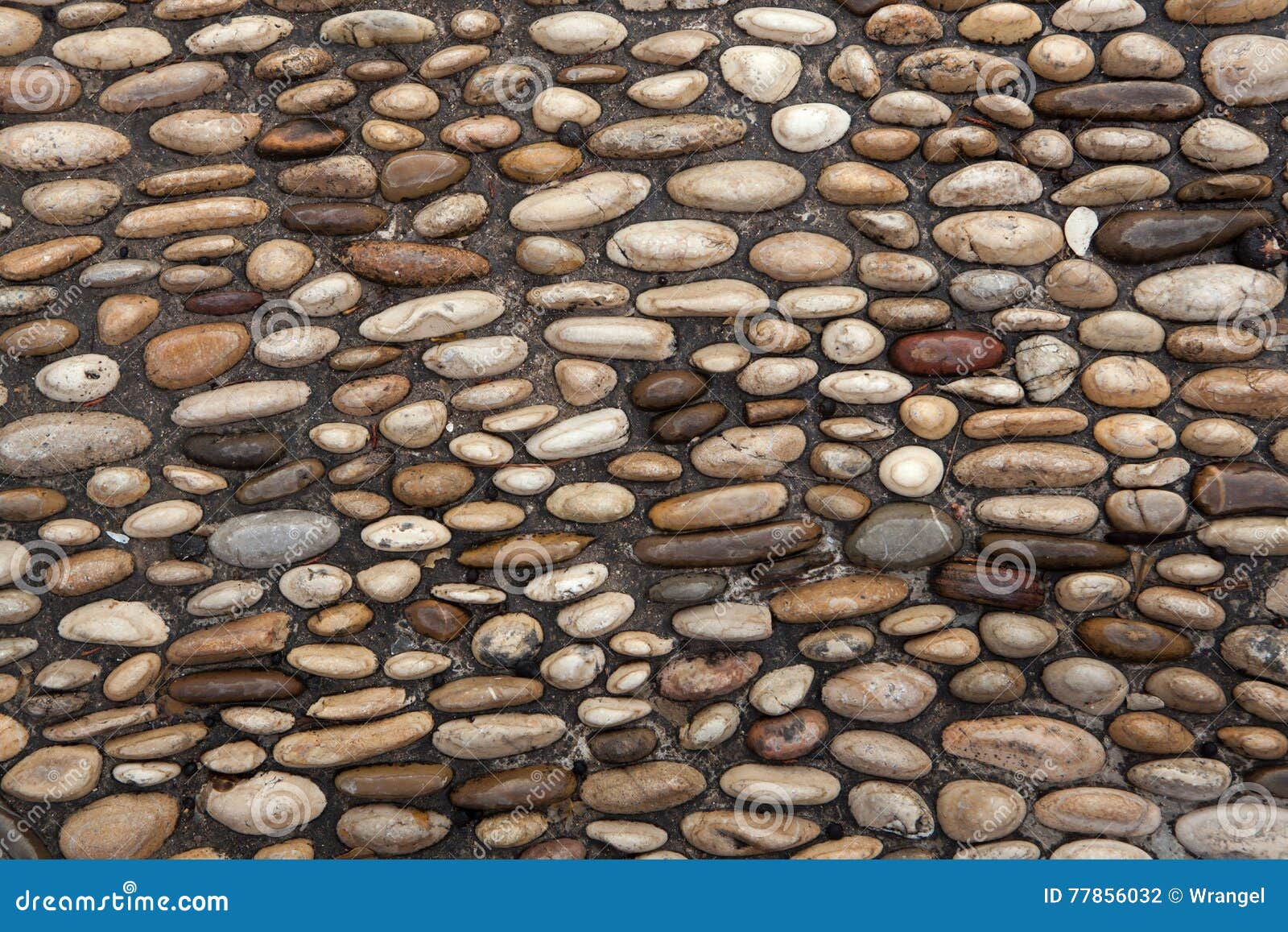 Cobbled Pavement Made of River Rounded Pebbles. Background Texture ...