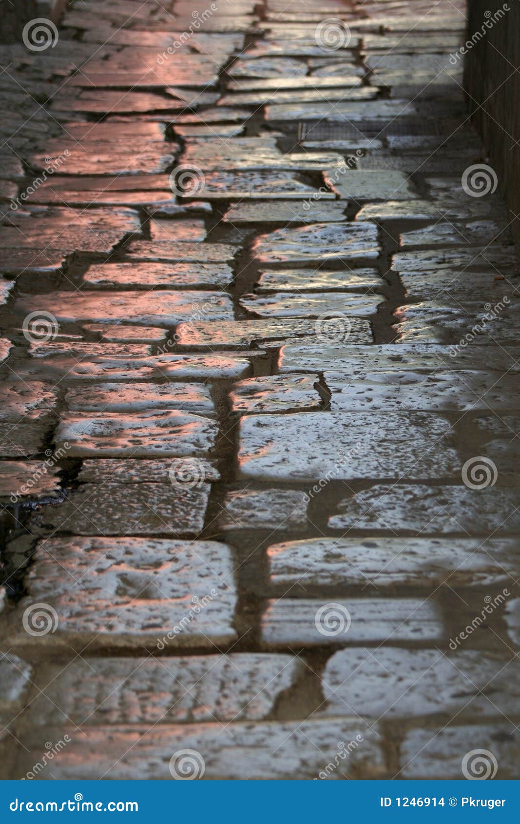 Cobbled Road stock photo. Image of close, pavement, floor - 1246914
