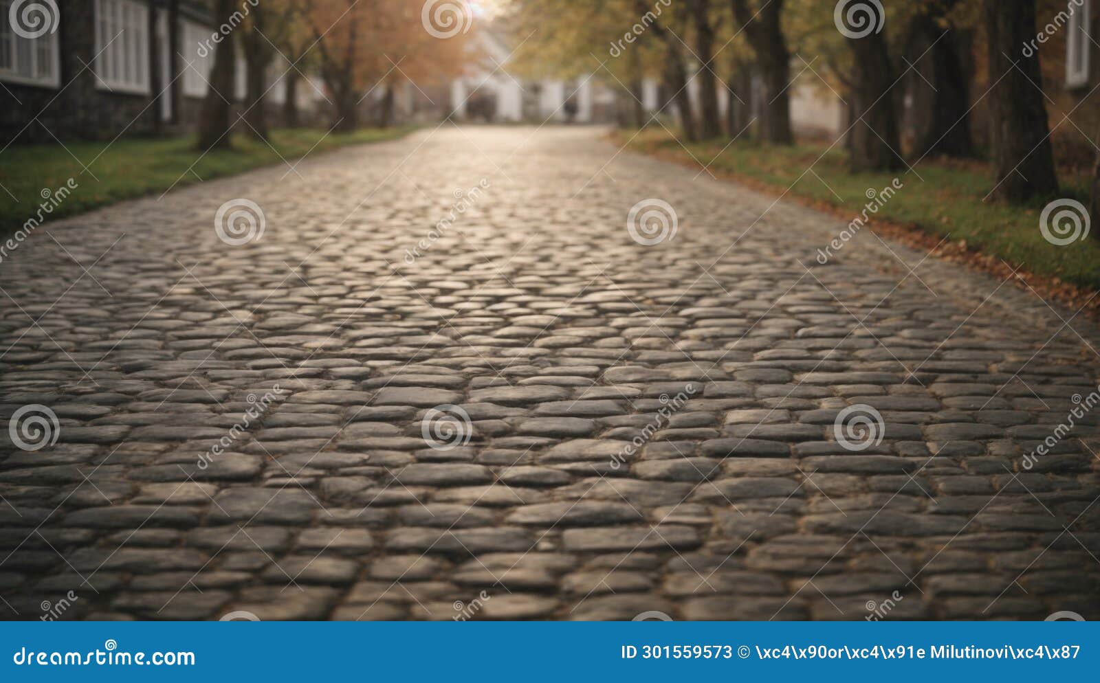 A Textured Cobbled Stone Pathway, Ideal for Creating Rustic-themed ...