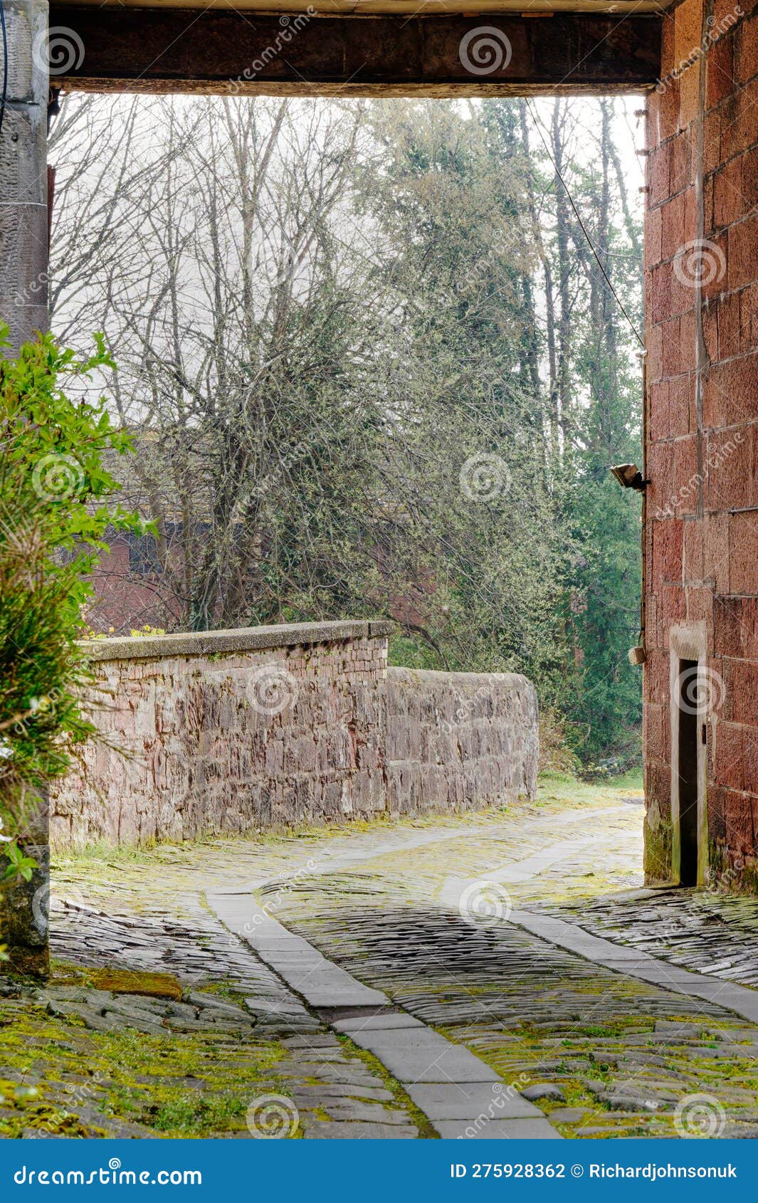 Cobbled Stone Path between Buildings Leading To Forest Stock Photo ...