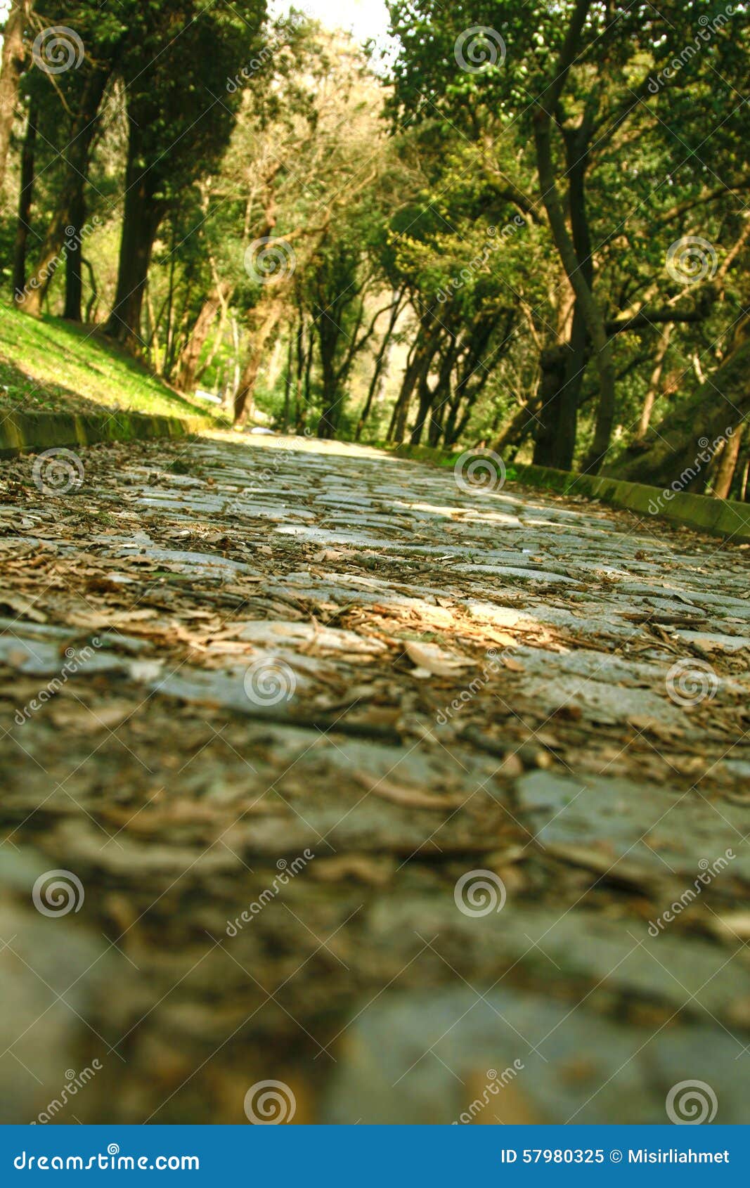 Cobbled stone path stock image. Image of garden, outdoors - 57980325