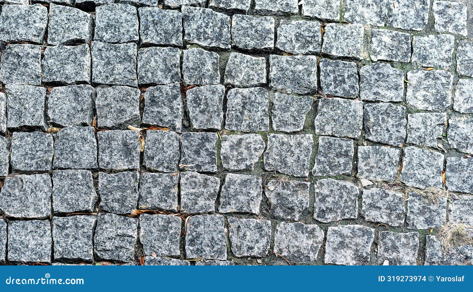 Cobbled Stone Path Texture Interlocking Gray Stones with Grass Details ...