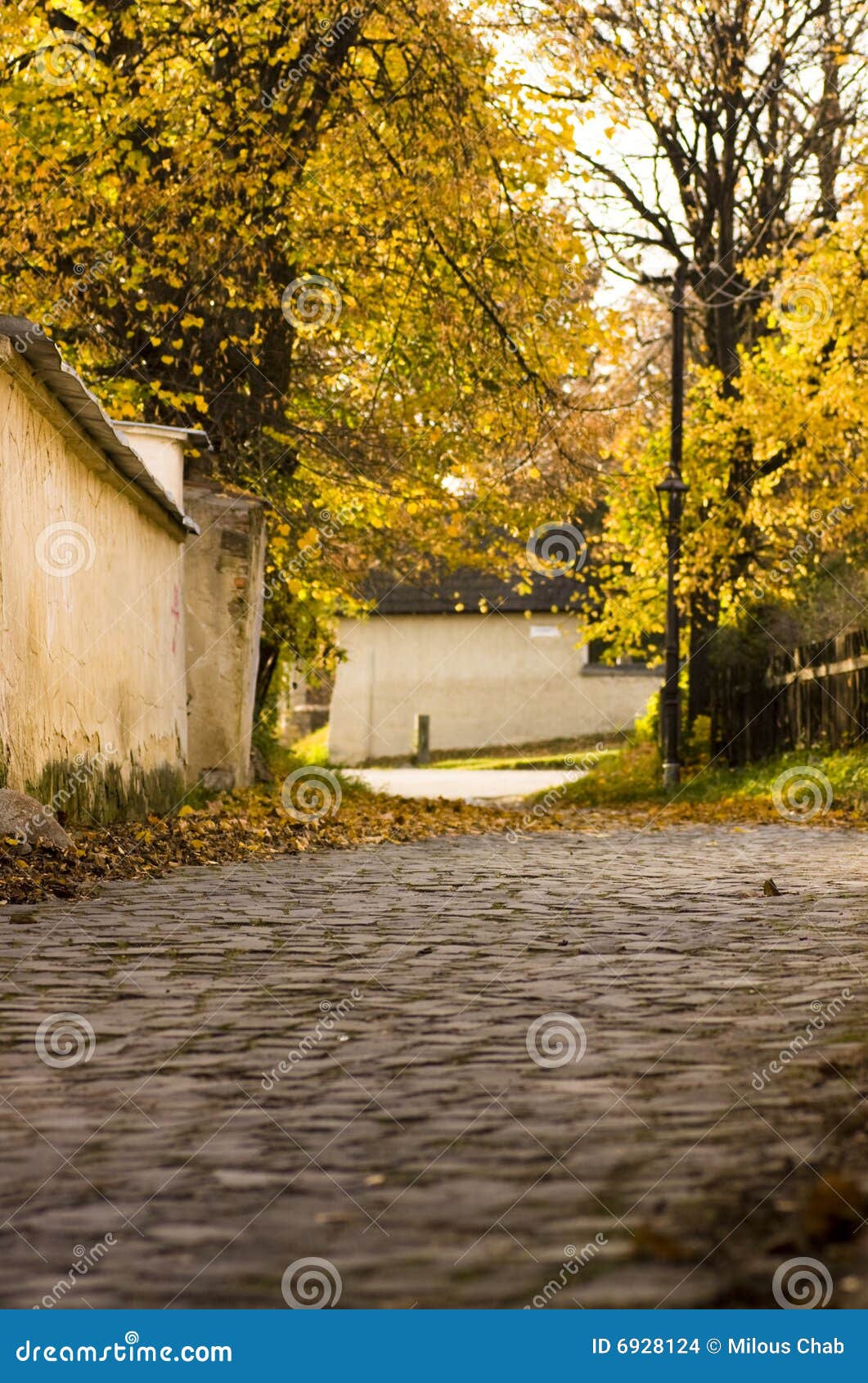 Cobbled street in autumn stock photo. Image of pacification - 6928124