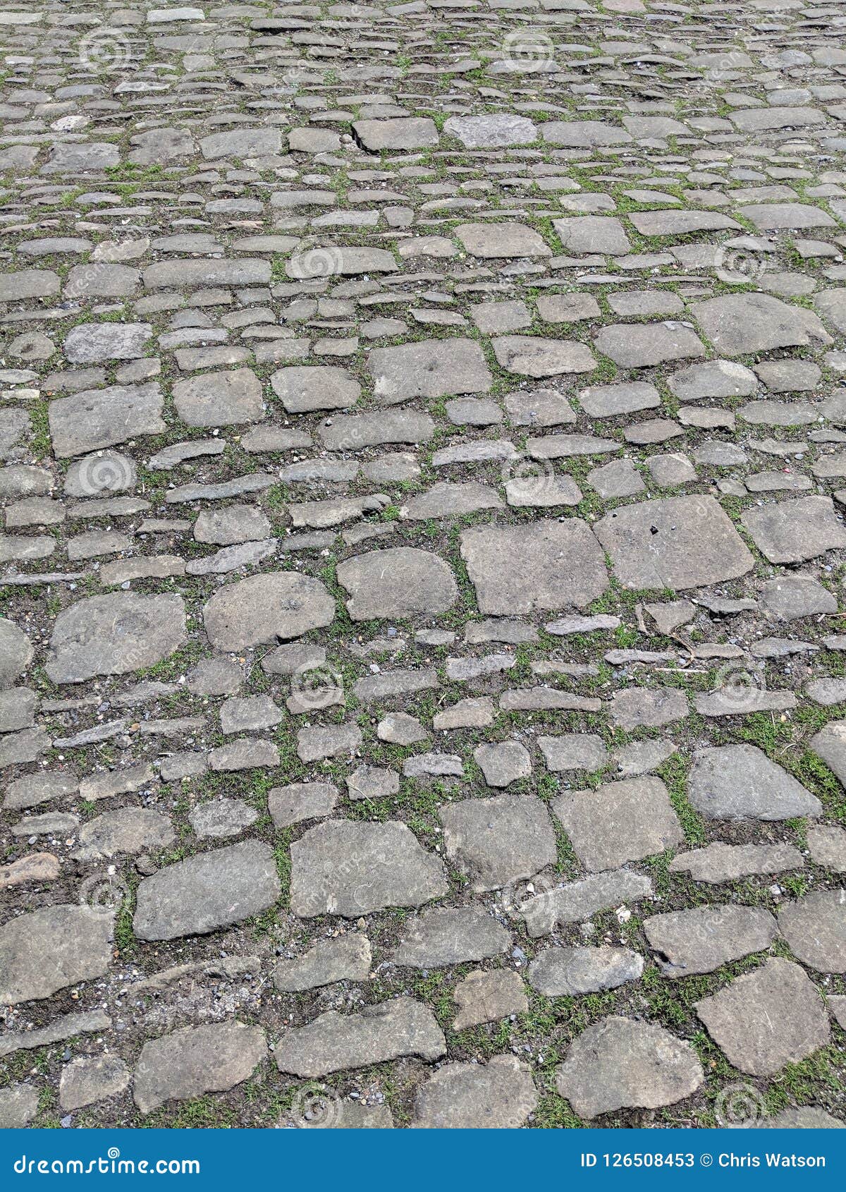 Old cobbled path stock image. Image of pathing, path - 126508453