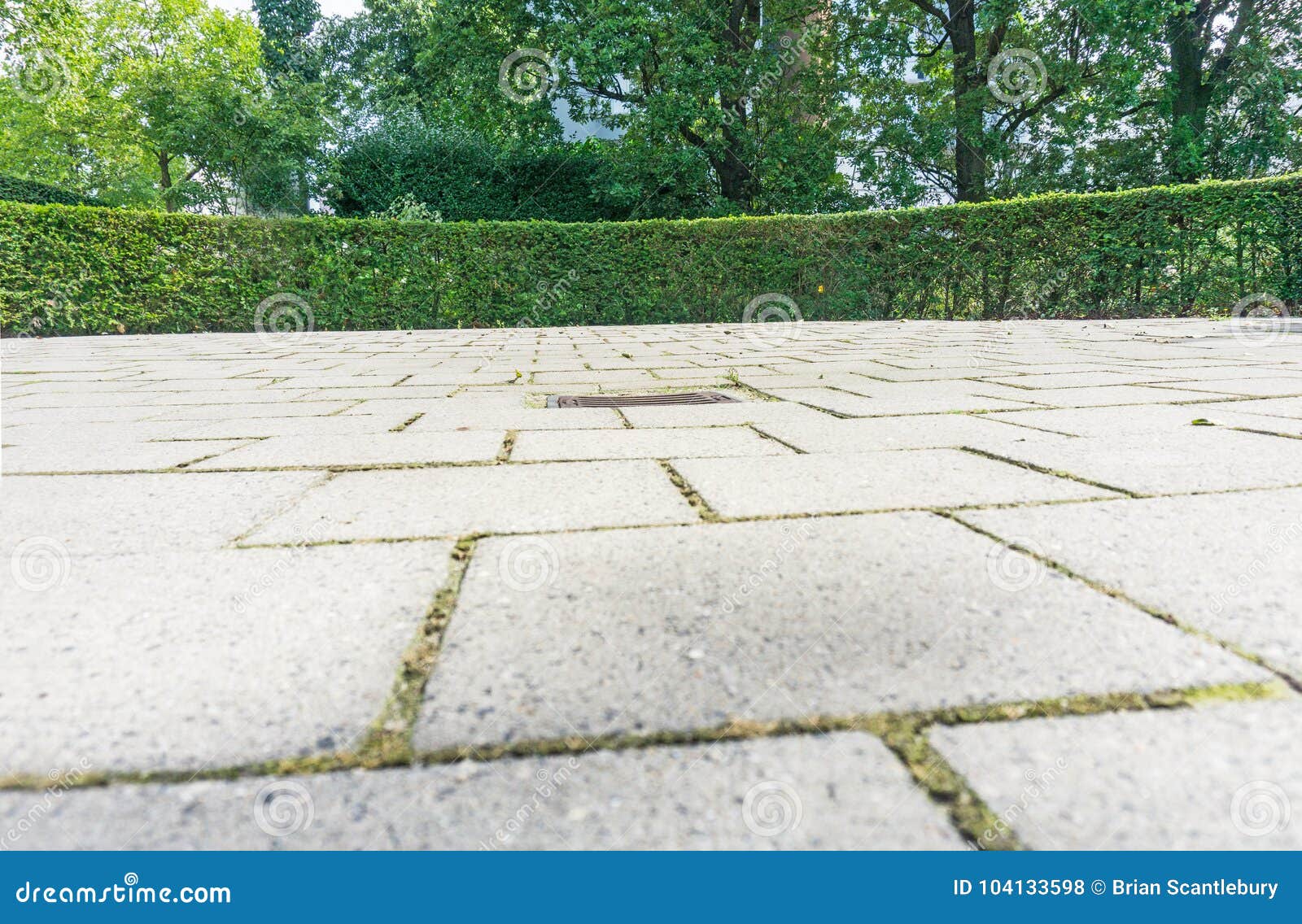 Cobbled Yard Surrounded by Circular Well Maintained Hedge Background ...