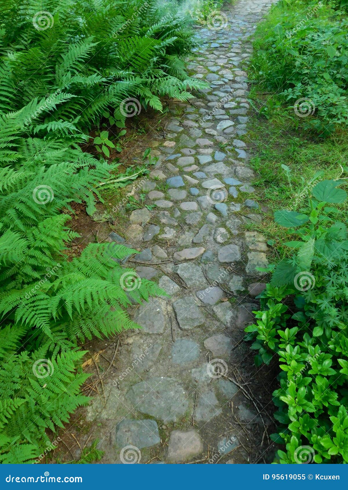 Cobbledweg in een tuin stock afbeelding. Image of landschap - 95619055
