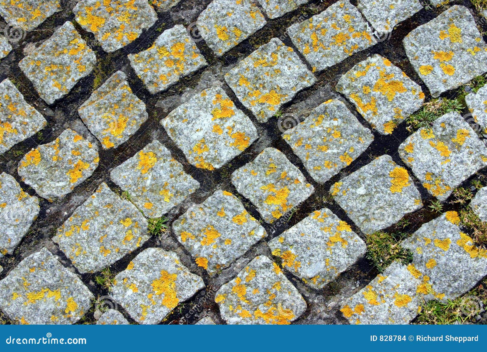 Cobbles stock photo. Image of cobbles, abstract, background - 828784