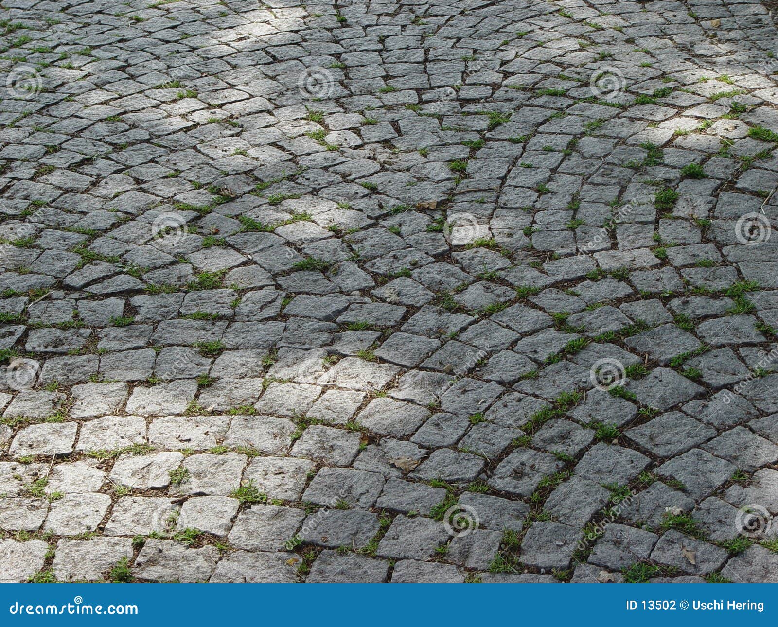Cobblestone stock photo. Image of cobble, city, cobblestone - 13502