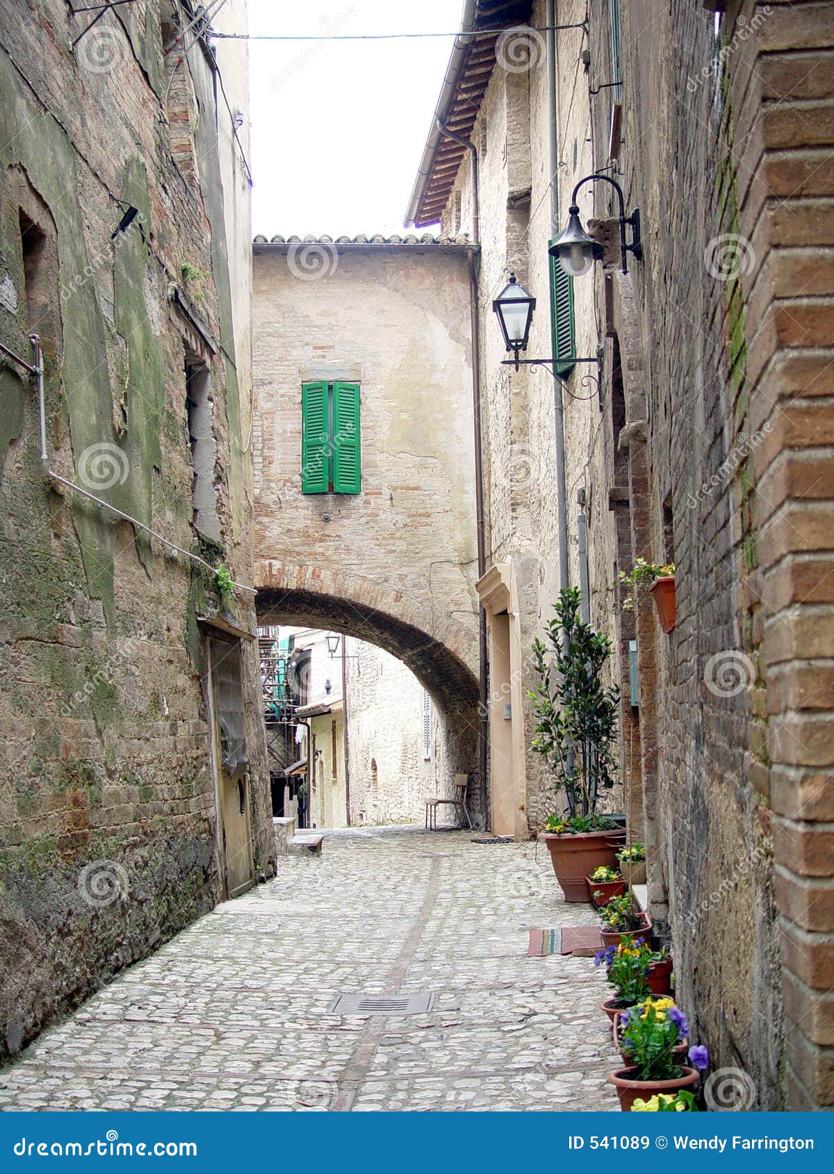 Cobblestone Alley stock image. Image of walls, plants, cobblestone - 541089