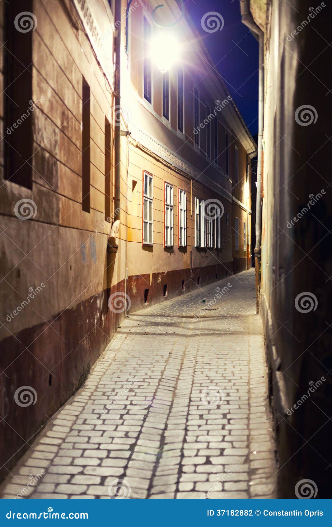 Cobblestone Alley