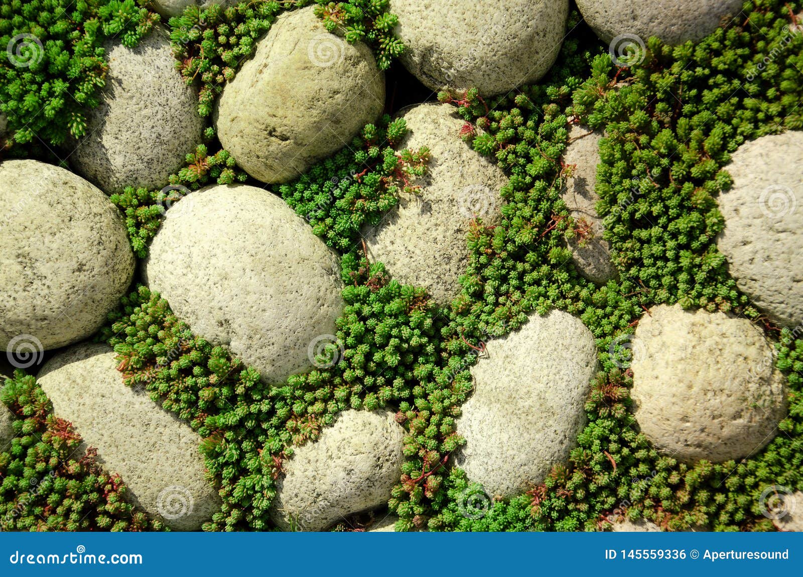 Cobblestone Background Texture Royalty-Free Stock Photography ...