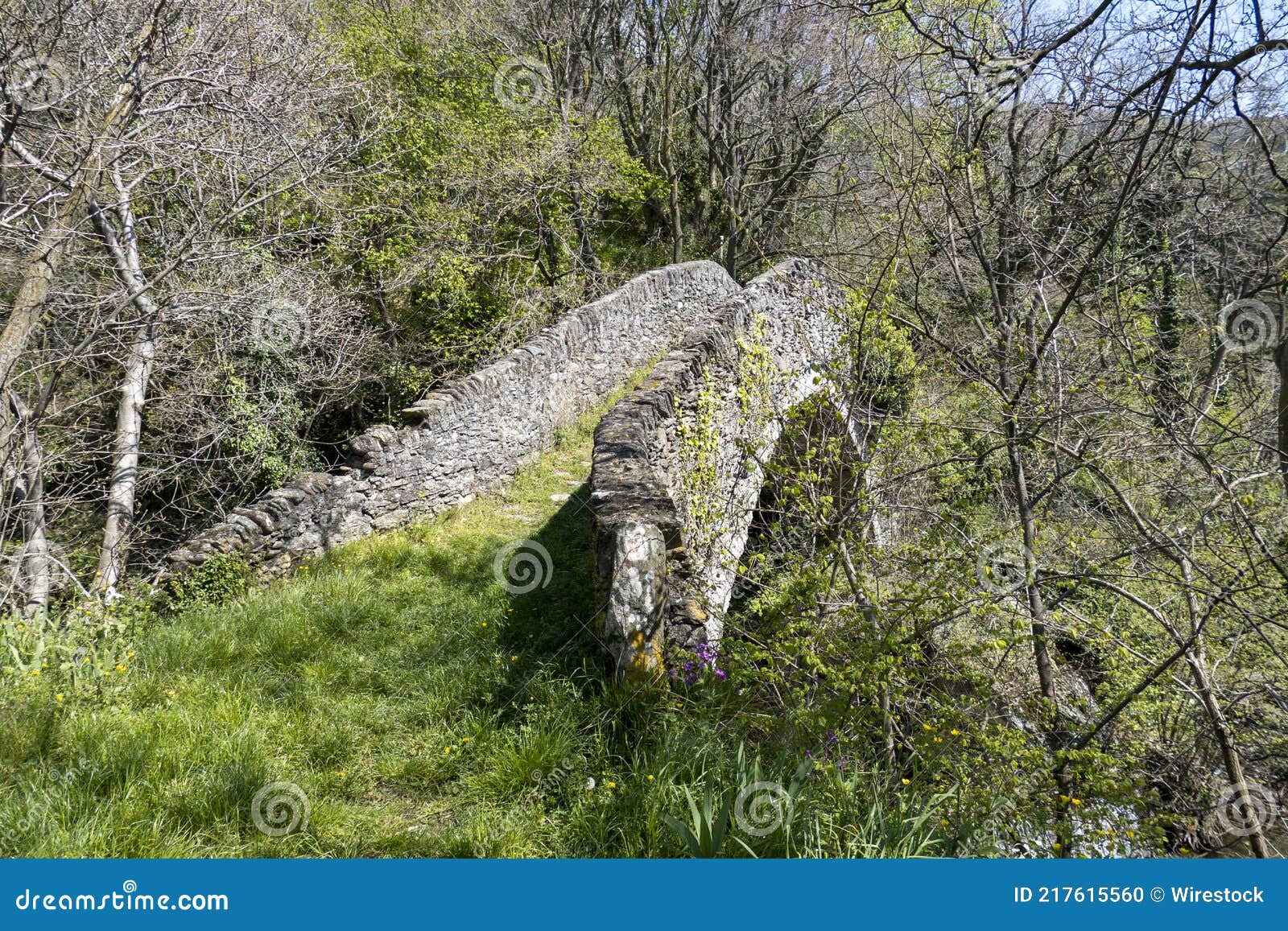 Cobblestone Bridge Joining Two Cliffs with Trees and Thick Grass Around ...