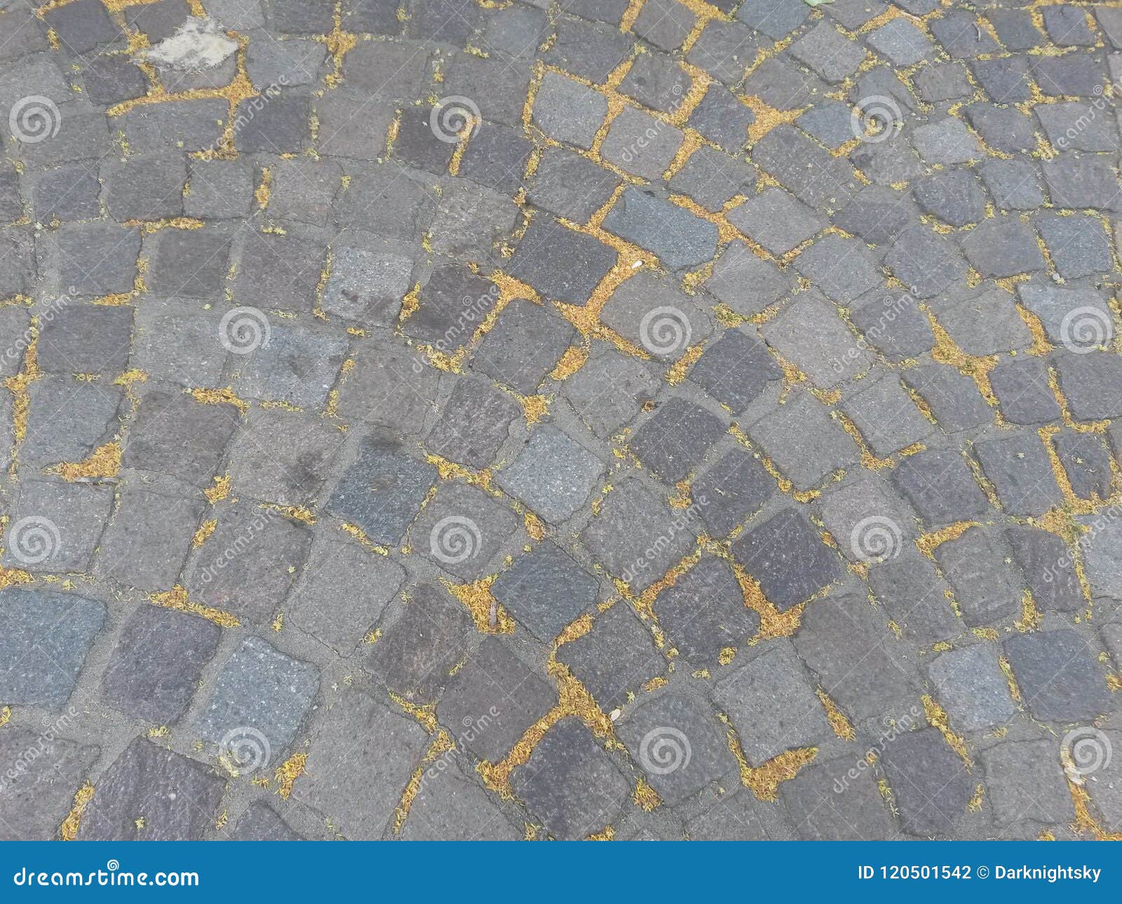 Cobblestone cobbles stock photo. Image of fish, orange - 120501542