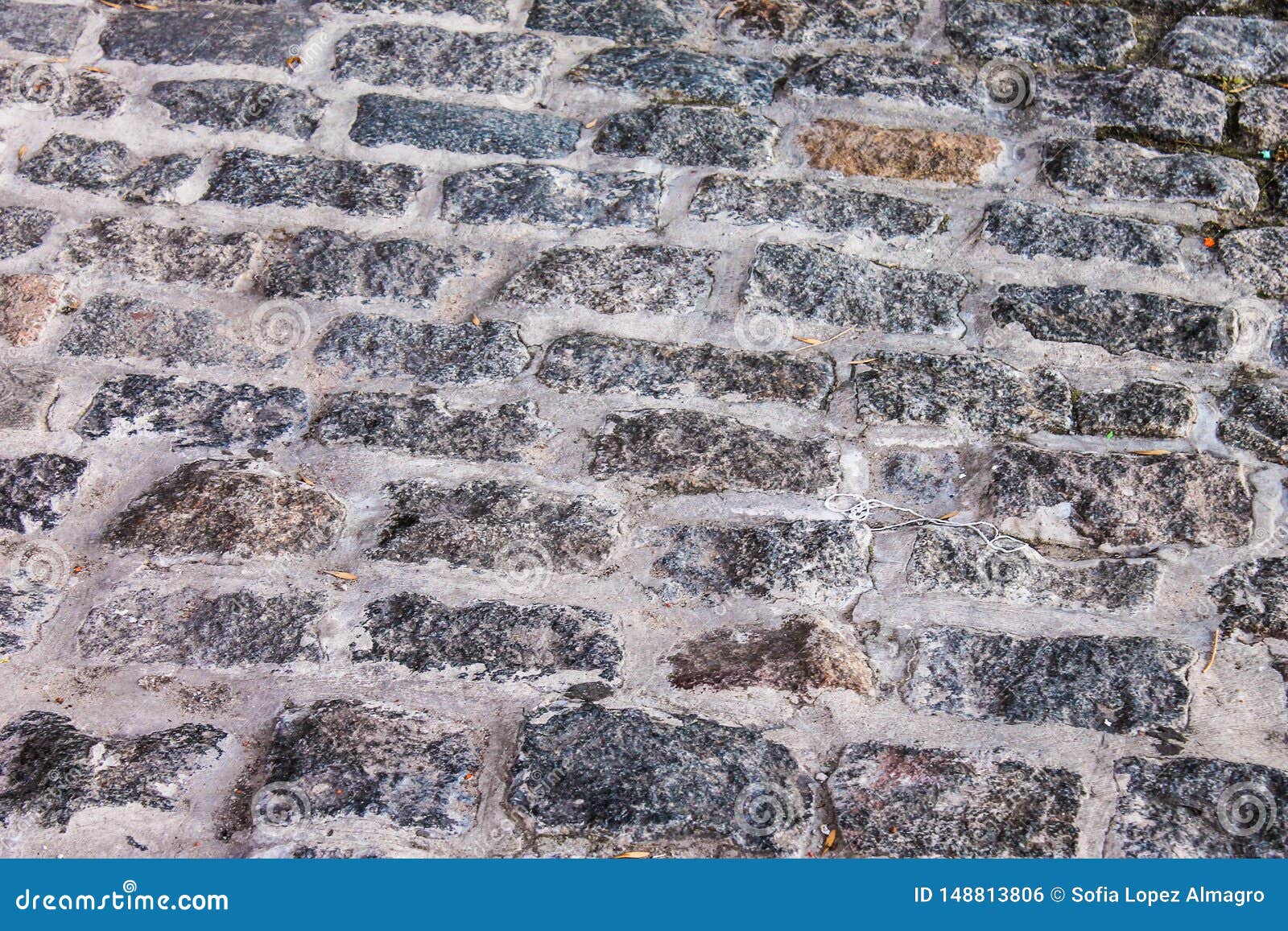Cobblestone Detail Surface Architecture Street Stock Photo - Image of ...