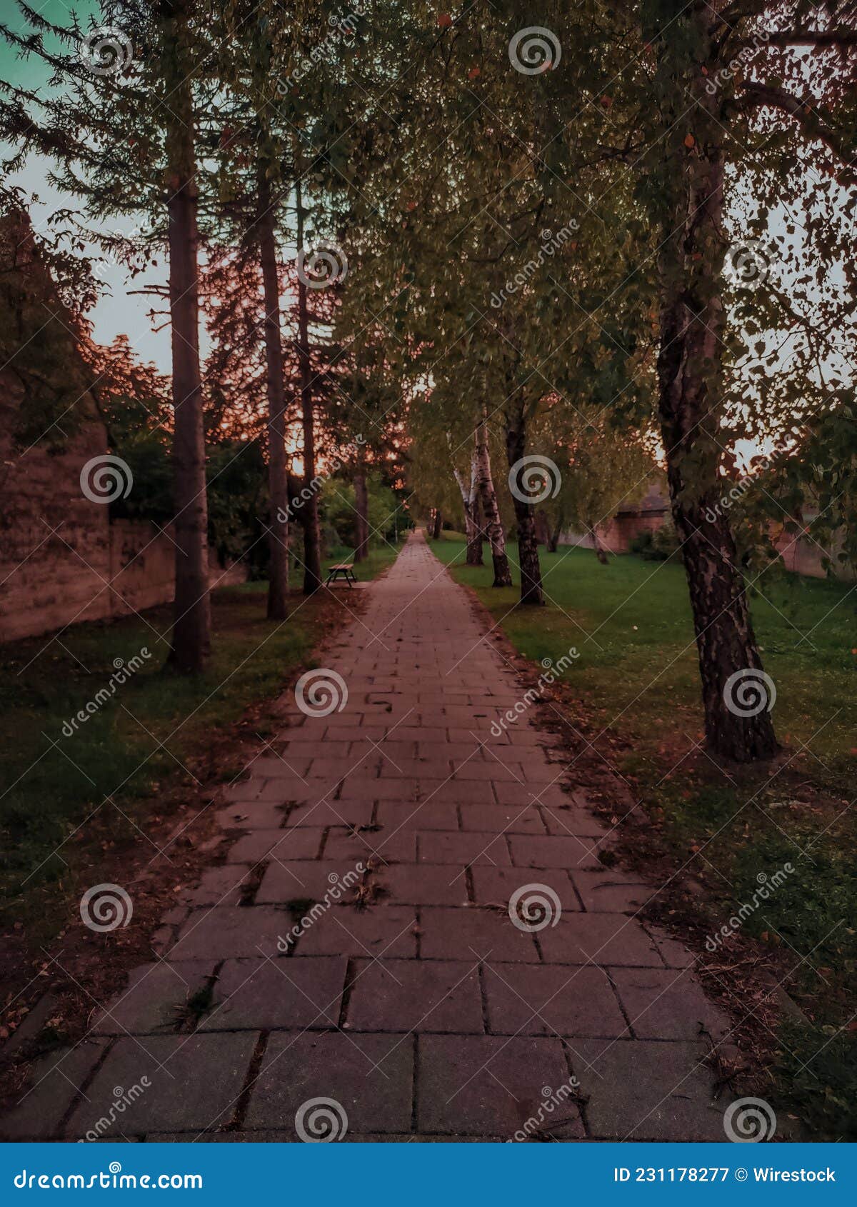 Cobblestone Footpath in a Park Stock Image - Image of recreational ...