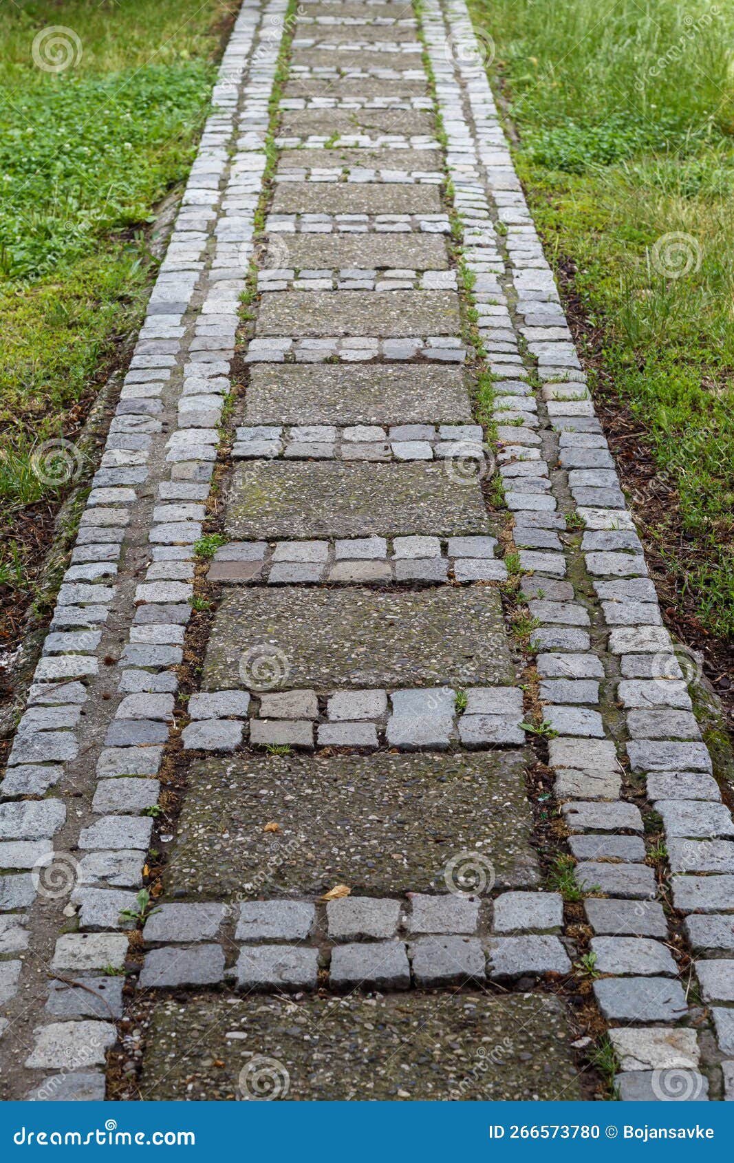 Cobblestone Footpath Surrounded by Green Grass Stock Photo - Image of ...