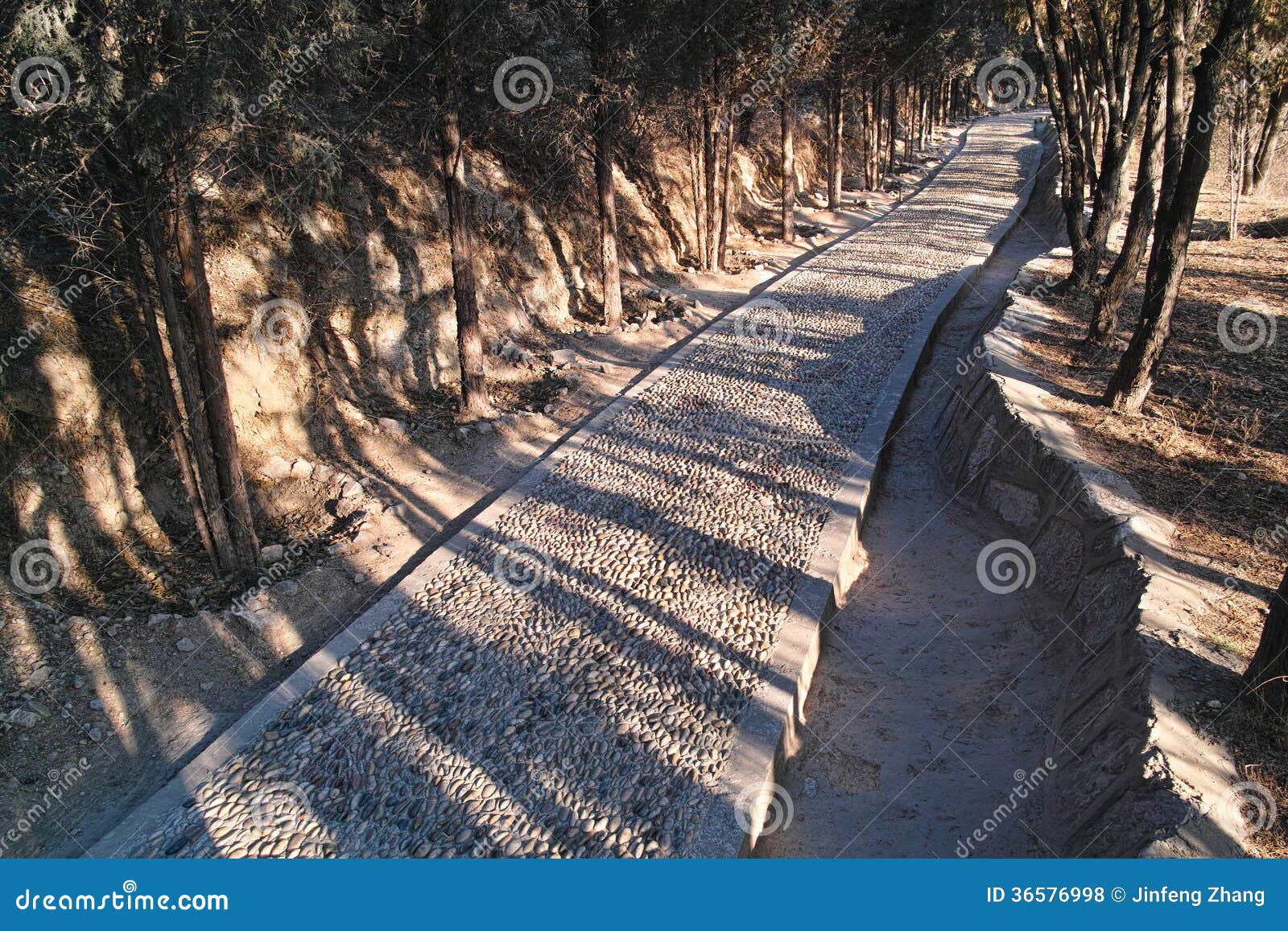 Cobblestone footpath stock photo. Image of woods, sunlight - 36576998