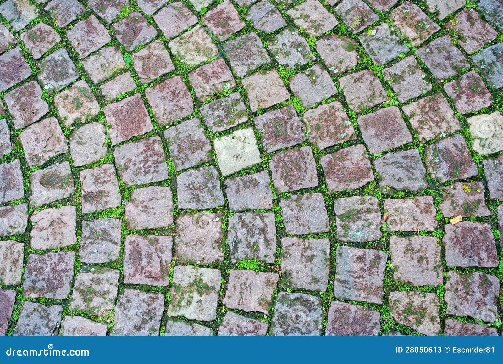 Cobblestone With Grass Texture Stone Path Road Pathway Background Of ...