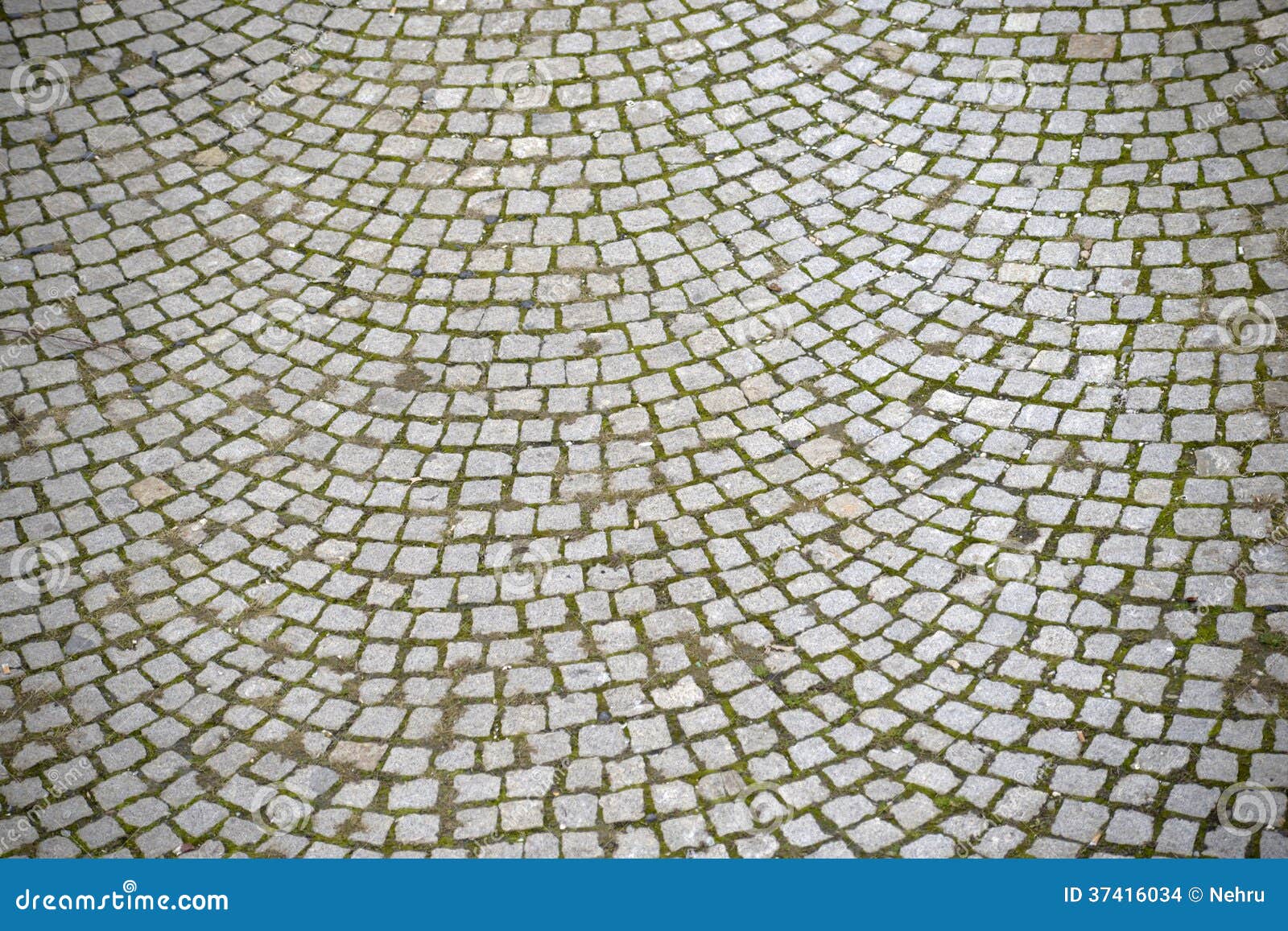 Cobblestone With Grass Texture Stone Path Road Pathway Background Of ...