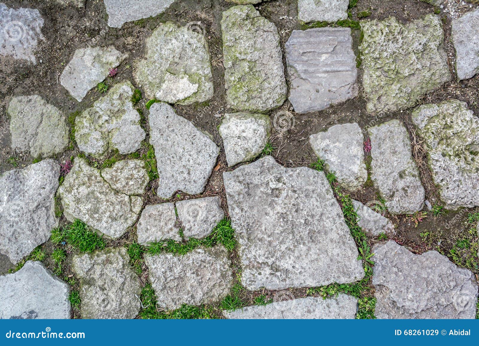 Cobblestone with Grass Texture Stock Image - Image of footpath, natural ...