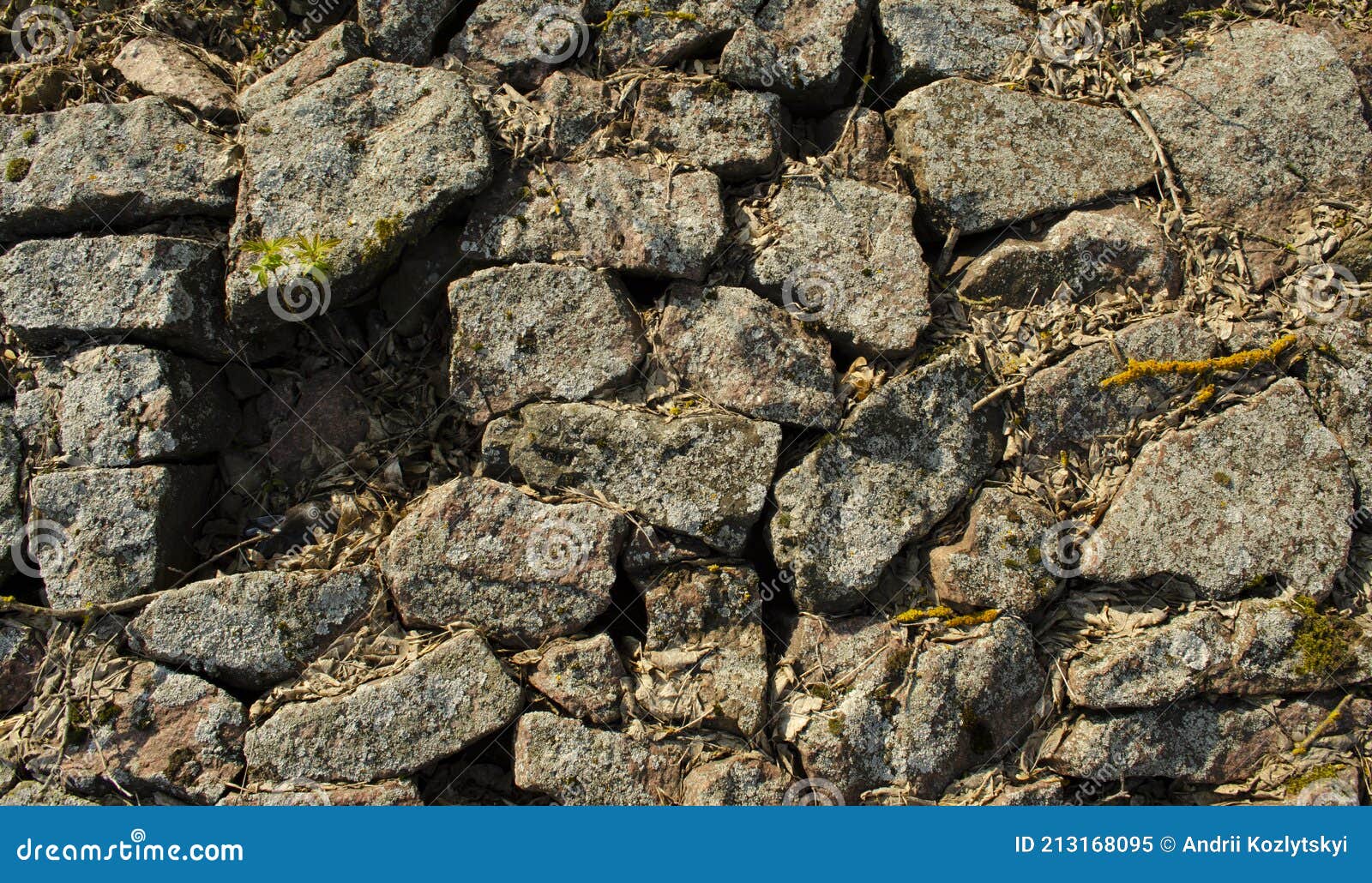 Cobblestone With Grass Texture Stone Path Road Pathway Background Of ...