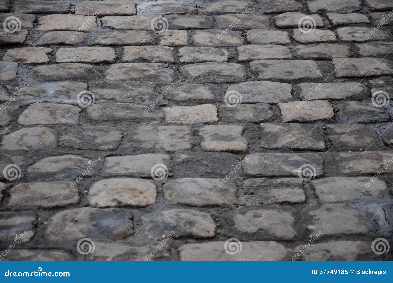 Cobblestone path stock image. Image of lump, track, sidewalk - 37749185