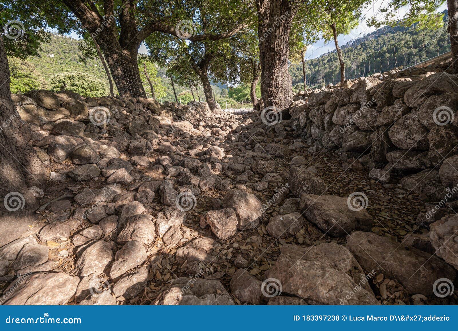 Cobblestone Path Bordered by Stone Walls Stock Photo - Image of grazing ...