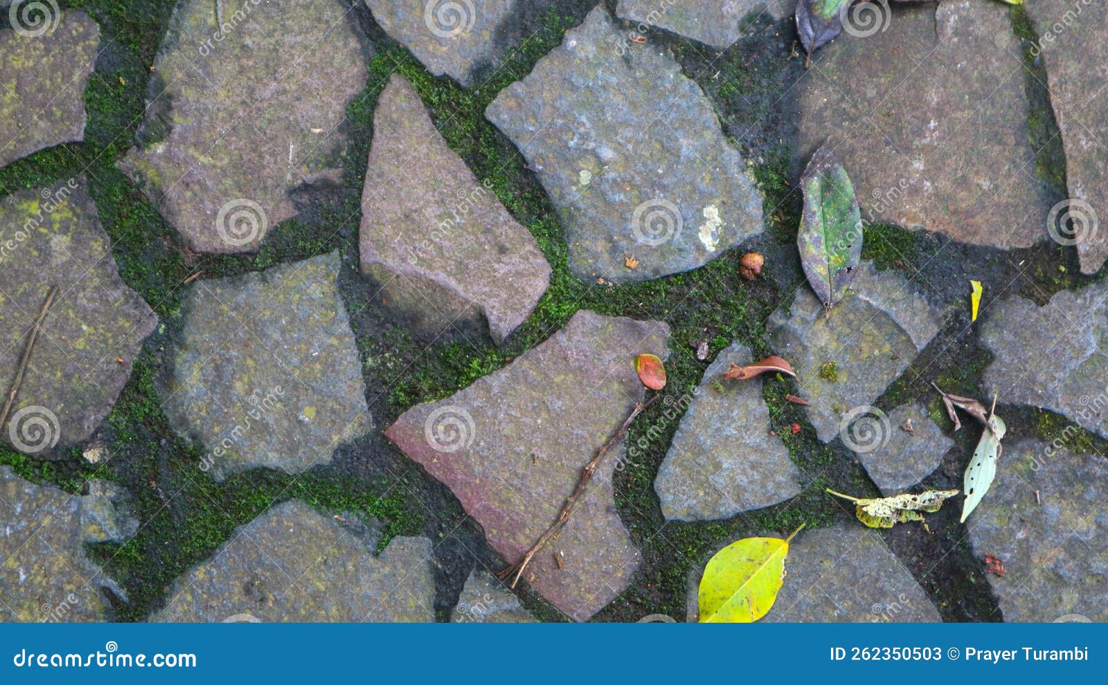 Cobblestone Path with Fallen Leaves. As Background Stock Image - Image ...