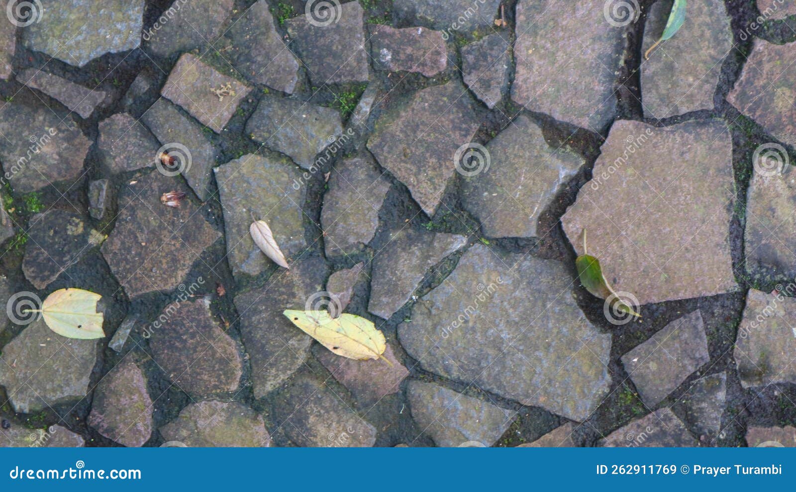 Cobblestone Path with Fallen Leaves. As Background Stock Image - Image ...