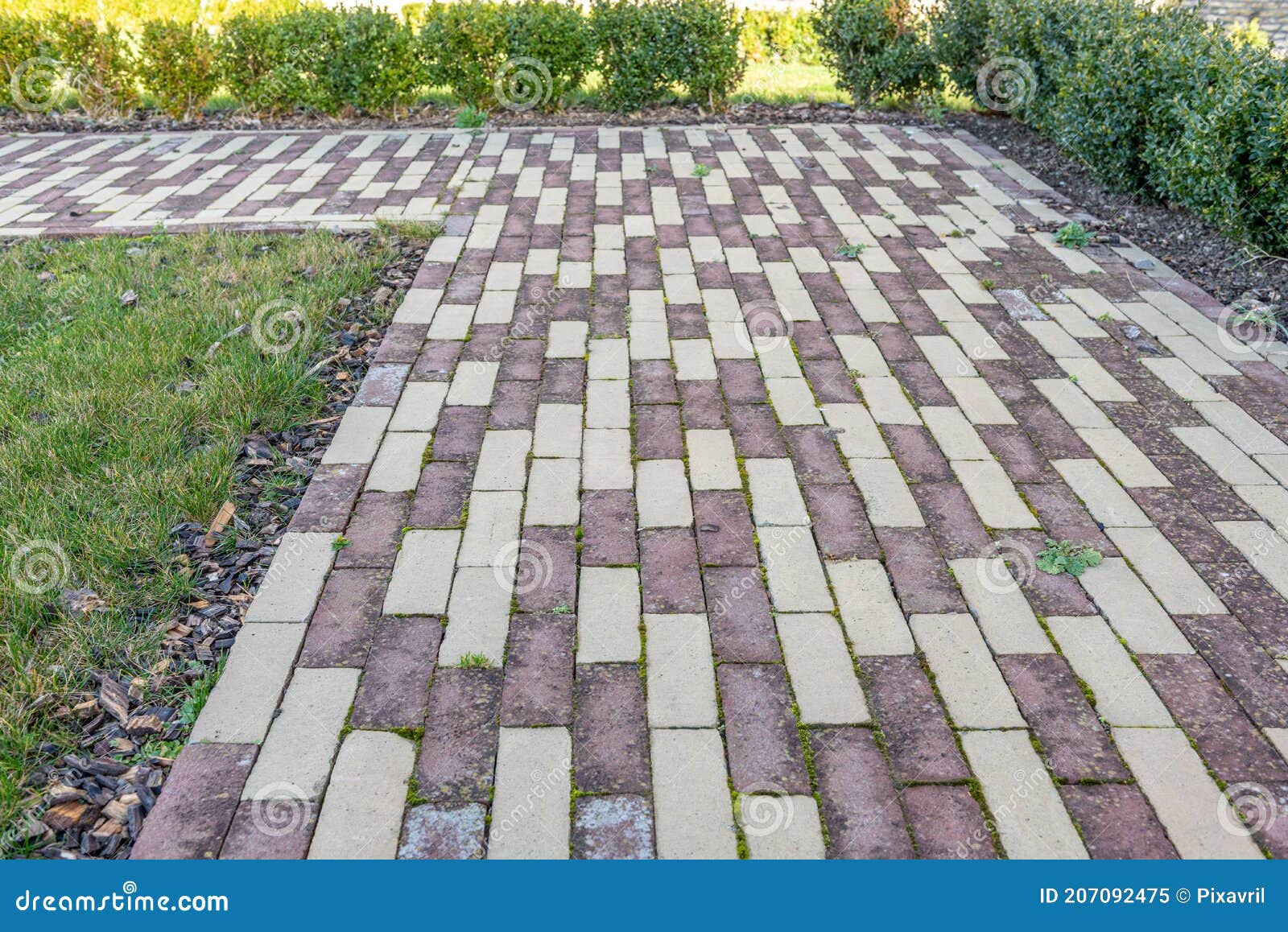 Cobblestone Path in a Garden Stock Image - Image of buxus, curve: 207092475
