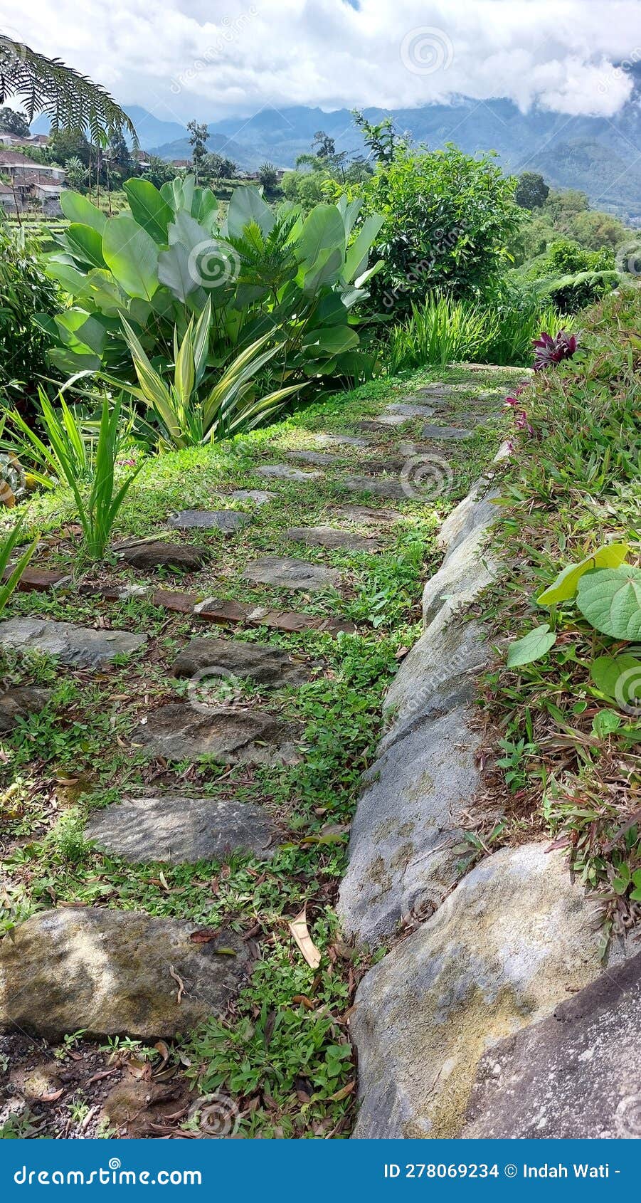 Cobblestone Path Leading To the Village Park, Bright Sky Stock Photo ...