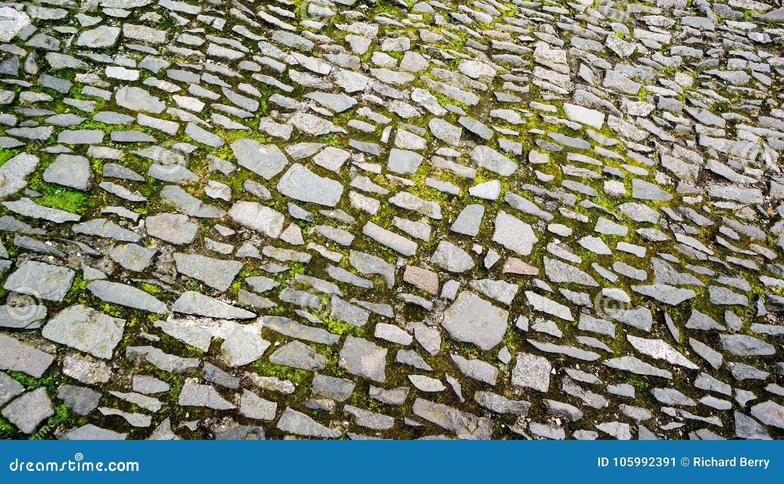 Cobblestone path stock image. Image of stone, floor - 105992391