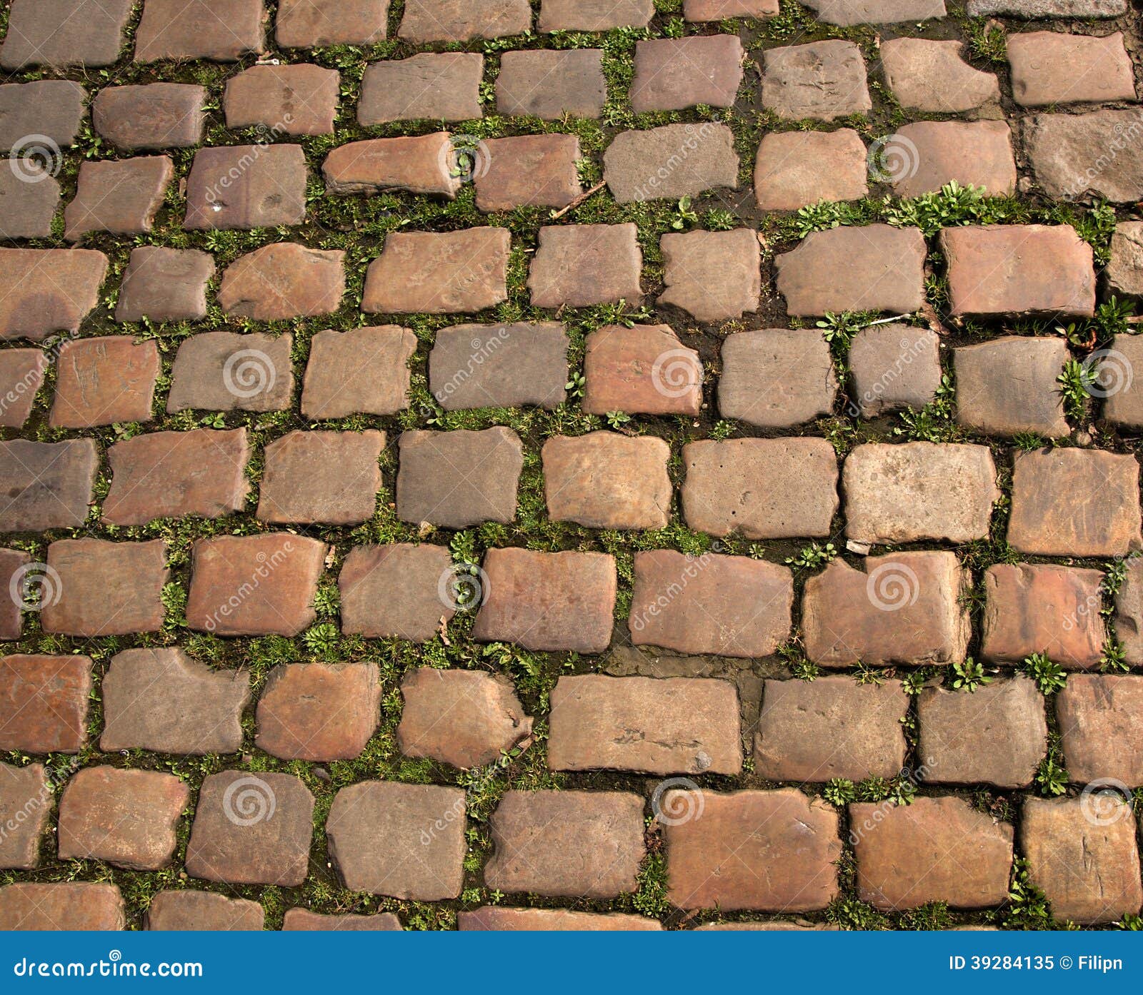 Cobblestone path stock image. Image of ground, paving - 39284135