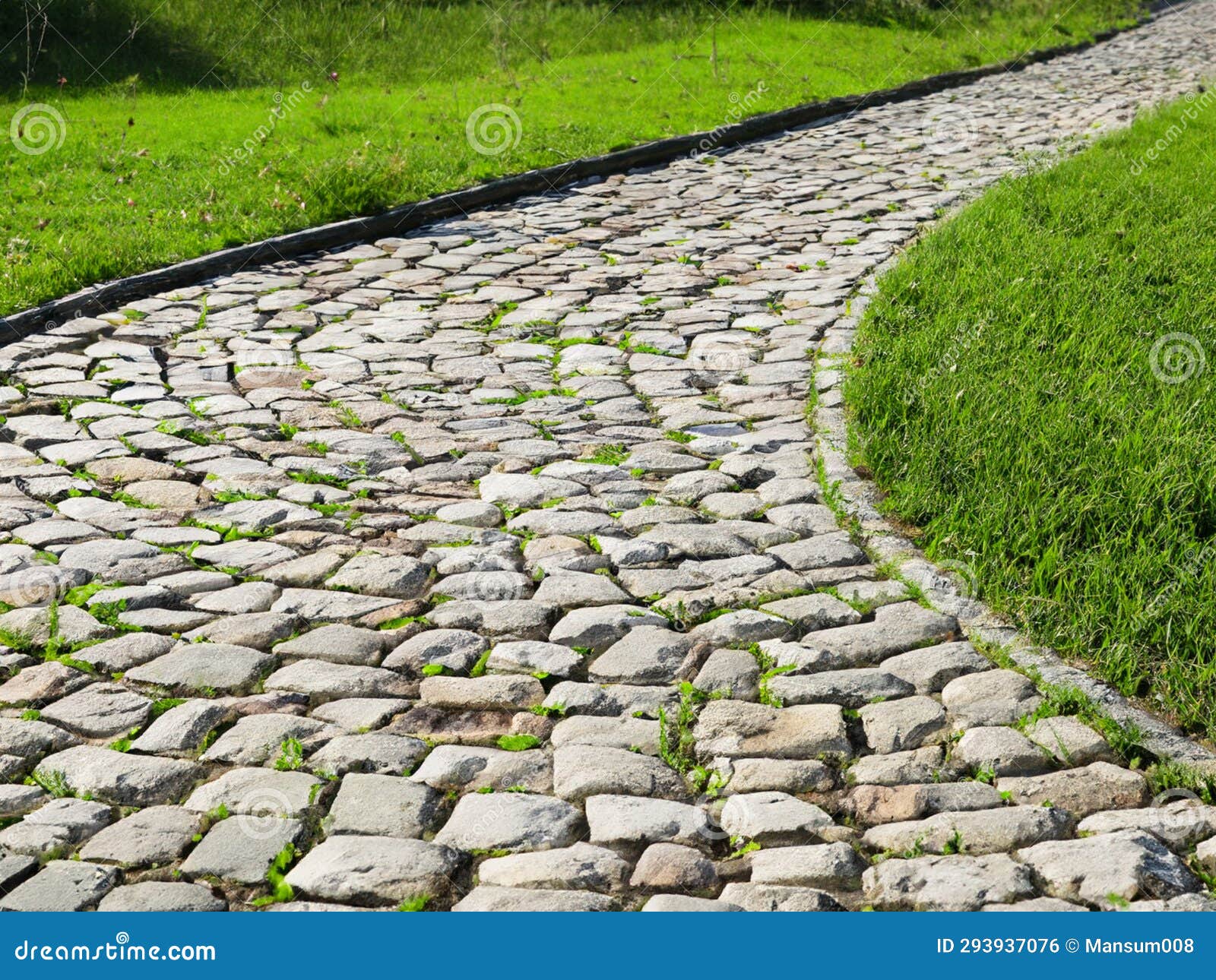 Cobblestone Path in the Park Stock Photo - Image of green, paved: 293937076