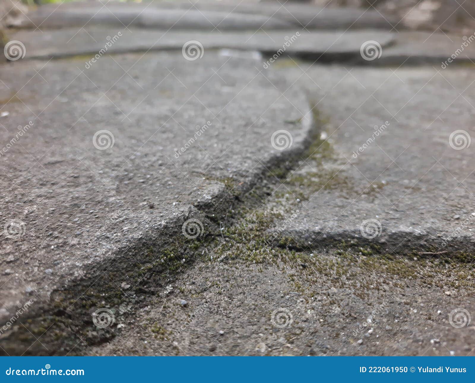 Cobblestone Path in the Park Stock Photo - Image of green, rock: 222061950