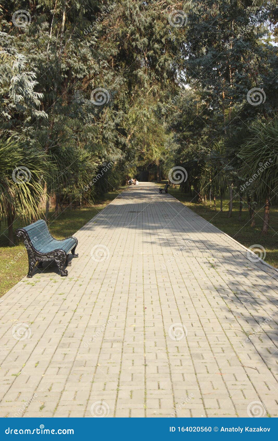 Cobblestone Path in the Park, Sunny Autumn Day Stock Photo - Image of ...