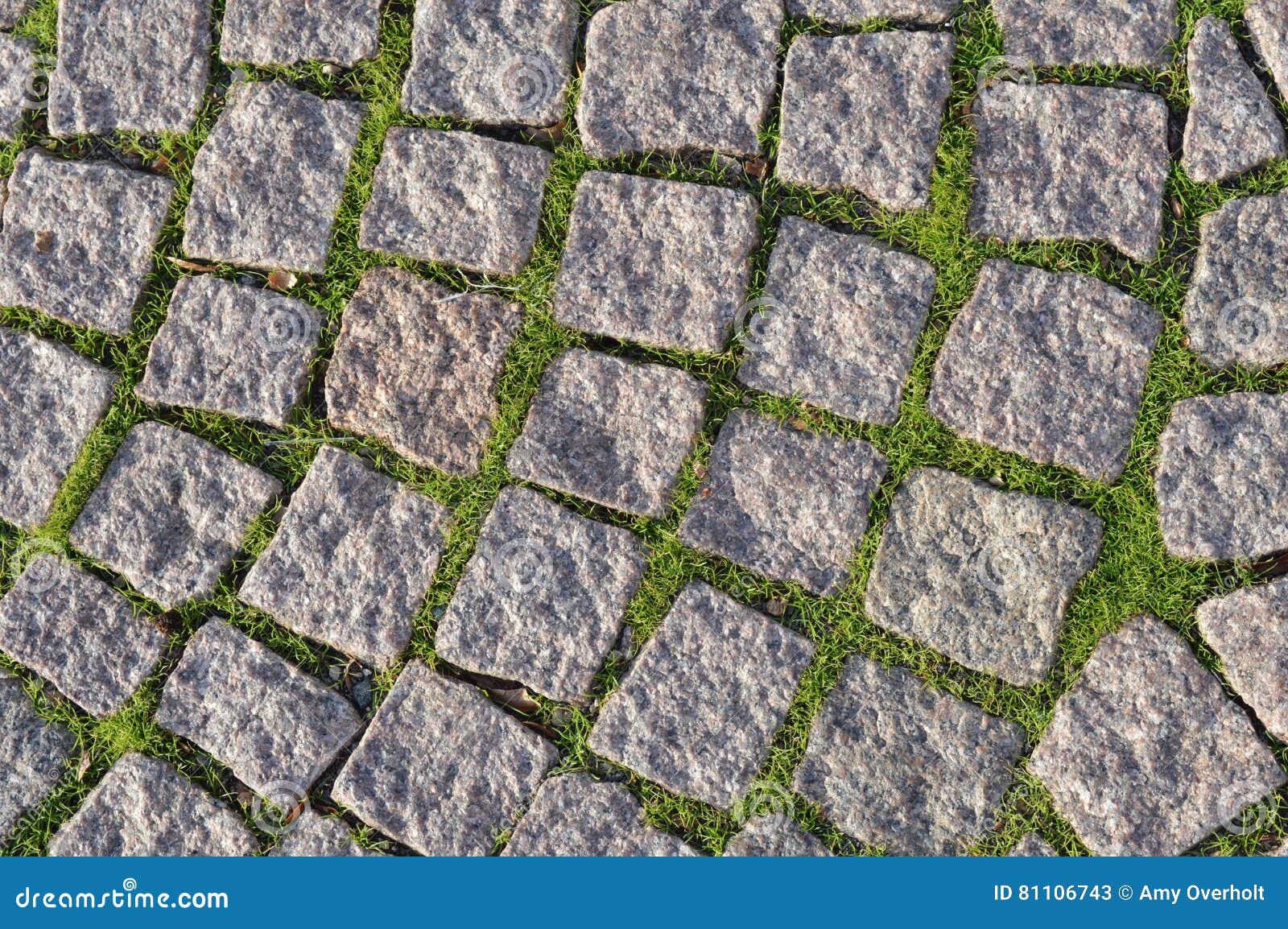 Cobblestone path stock image. Image of walk, walkway - 81106743