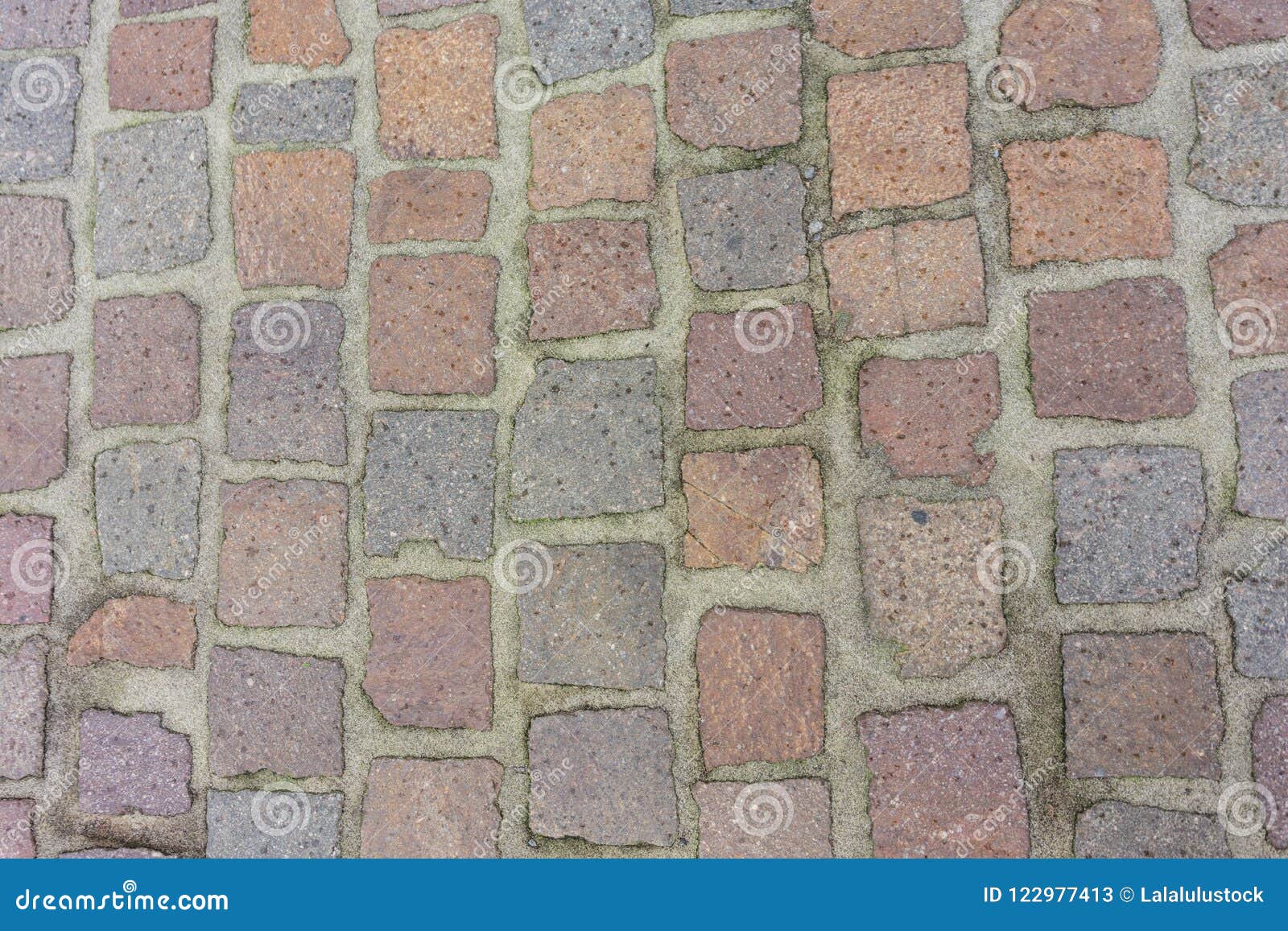 Cobblestone Path Way with Different Stone Colours Stock Image - Image ...