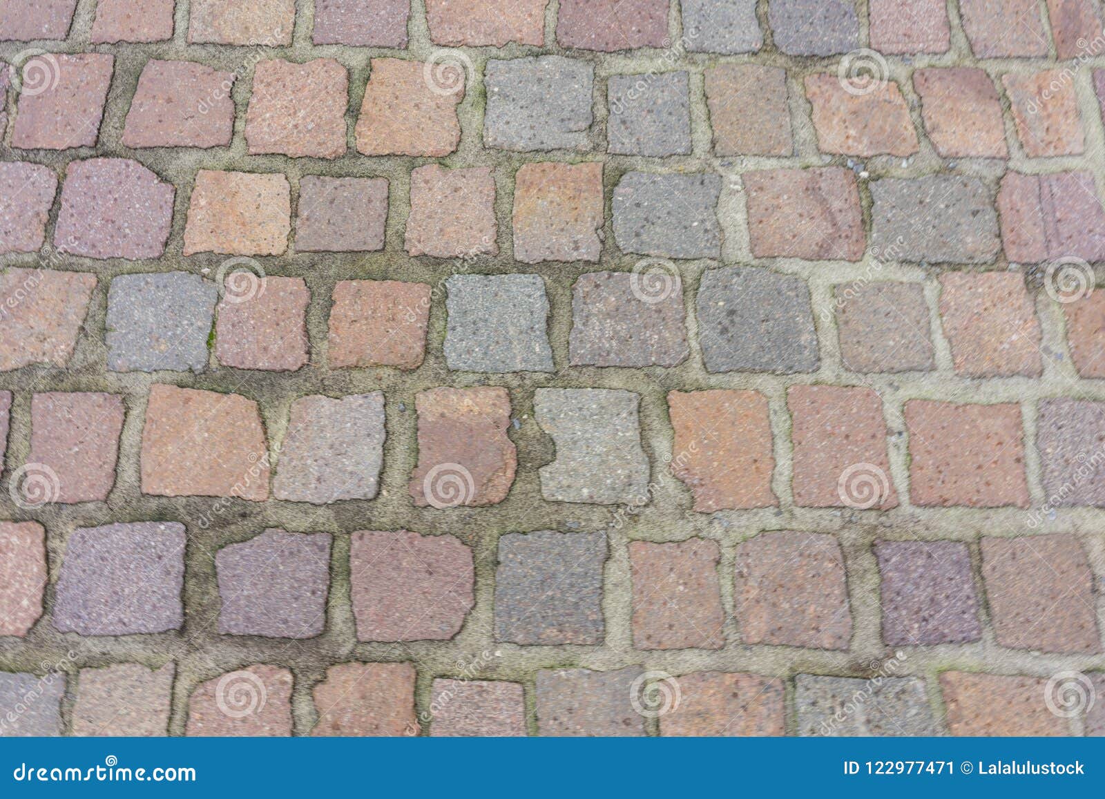 Cobblestone Path Way with Different Stone Colours Stock Image - Image ...