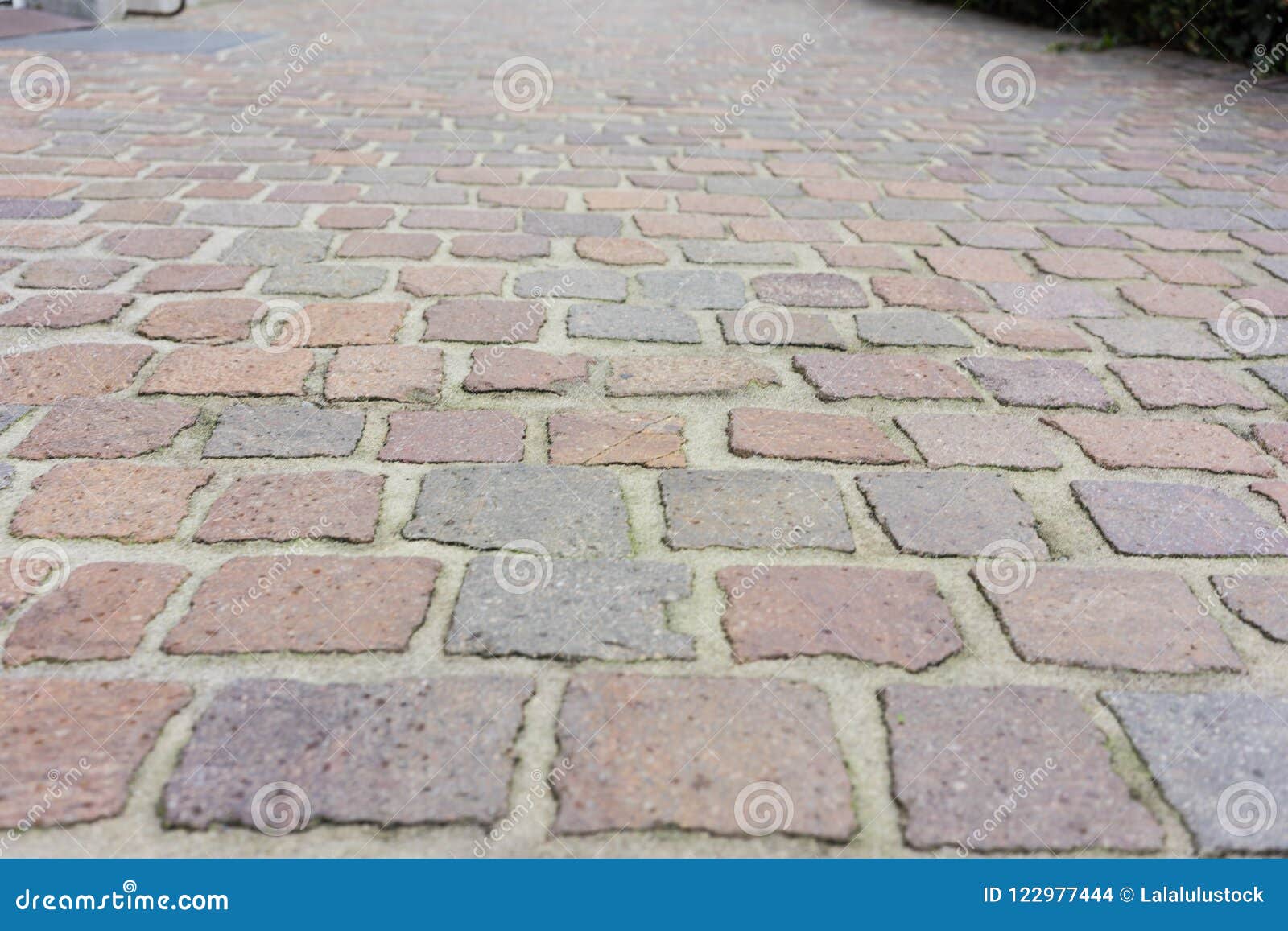 Cobblestone Path Way with Different Stone Colours Stock Photo - Image ...