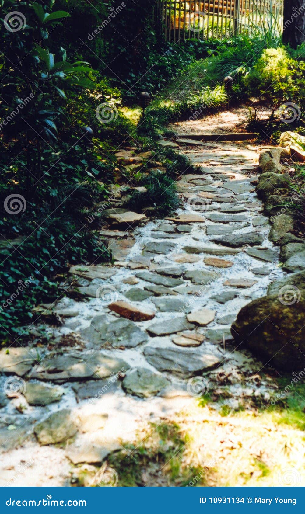 Cobblestone Pathway stock photo. Image of landscape, scenic - 10931134