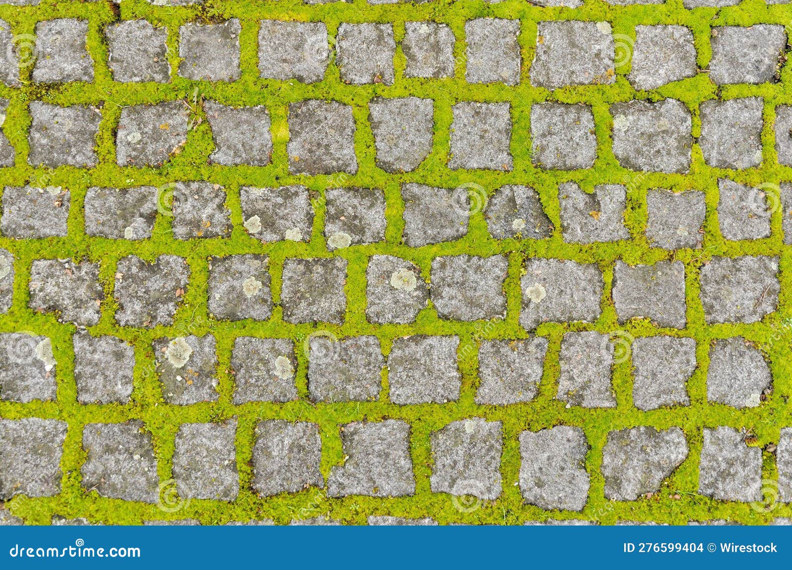 Cobblestone Pathway With Grass And Bench In Park Stock Photography ...