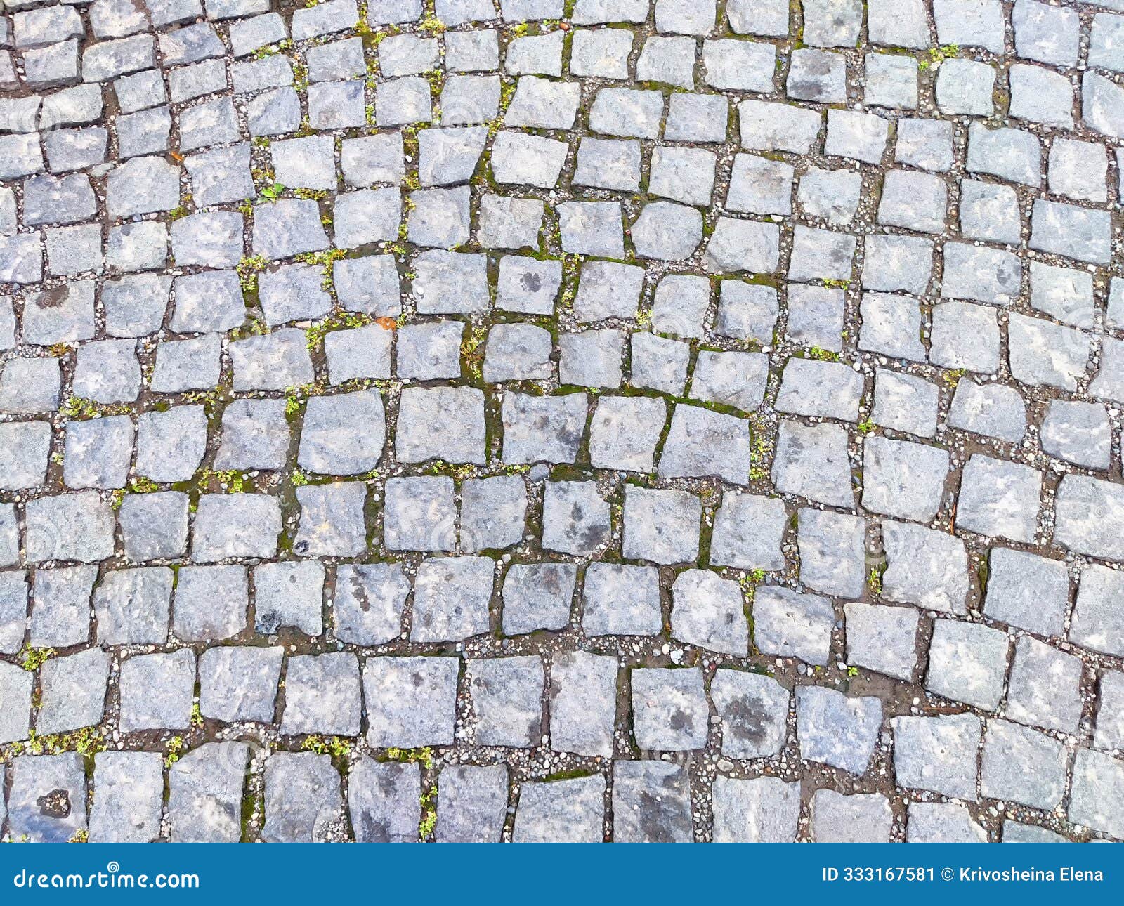 Cobblestone Pathway with Moss in a Historic Town Square during Daytime ...