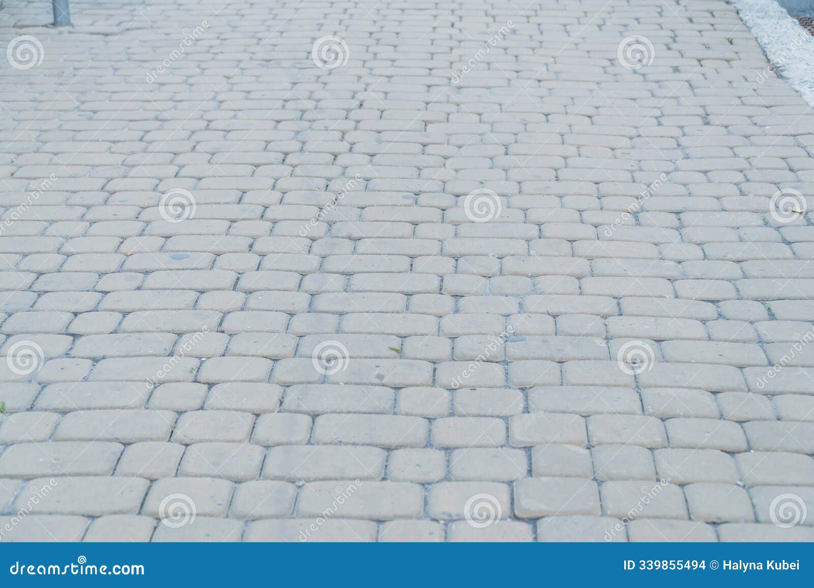 Cobblestone Pathway in Soft Natural Light Stock Photo - Image of street ...