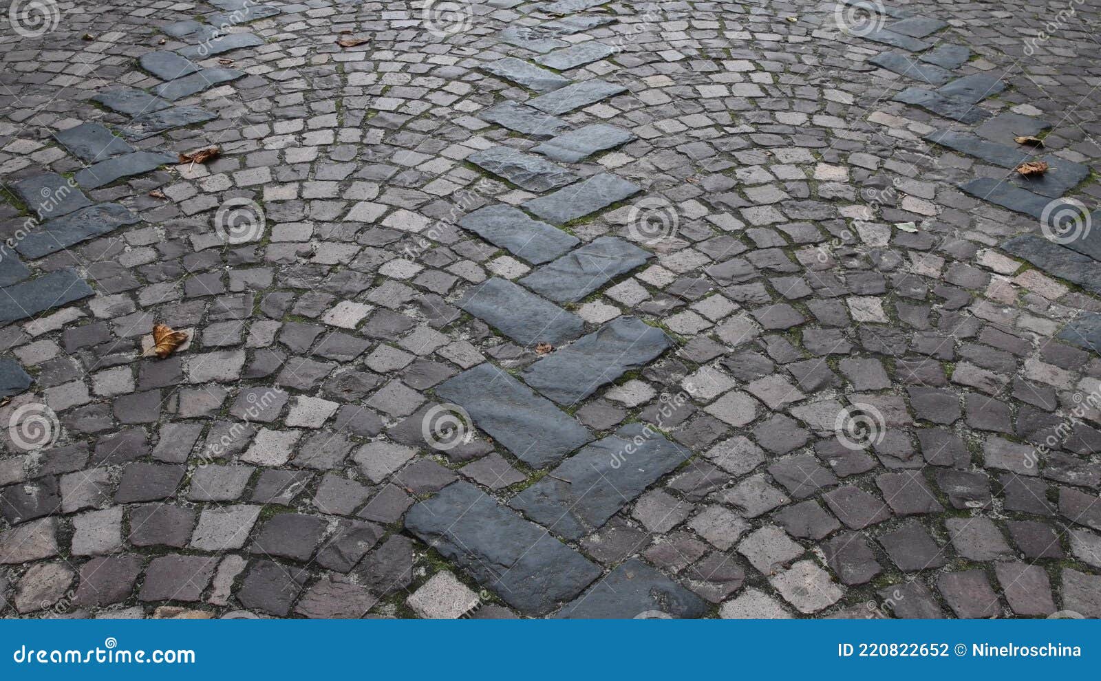 Cobblestone Paved Road Texture with Fall Leaves Stock Photo - Image of ...