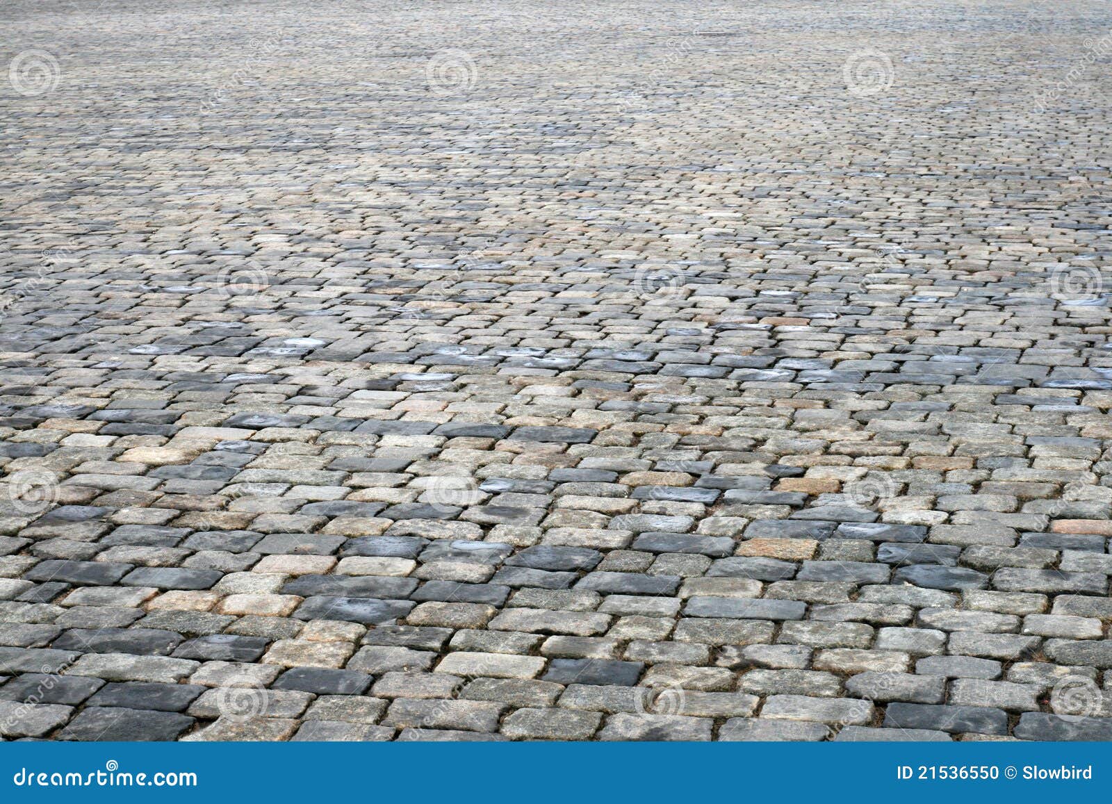 Cobblestone pavement stock photo. Image of cobbled, rocky - 21536550