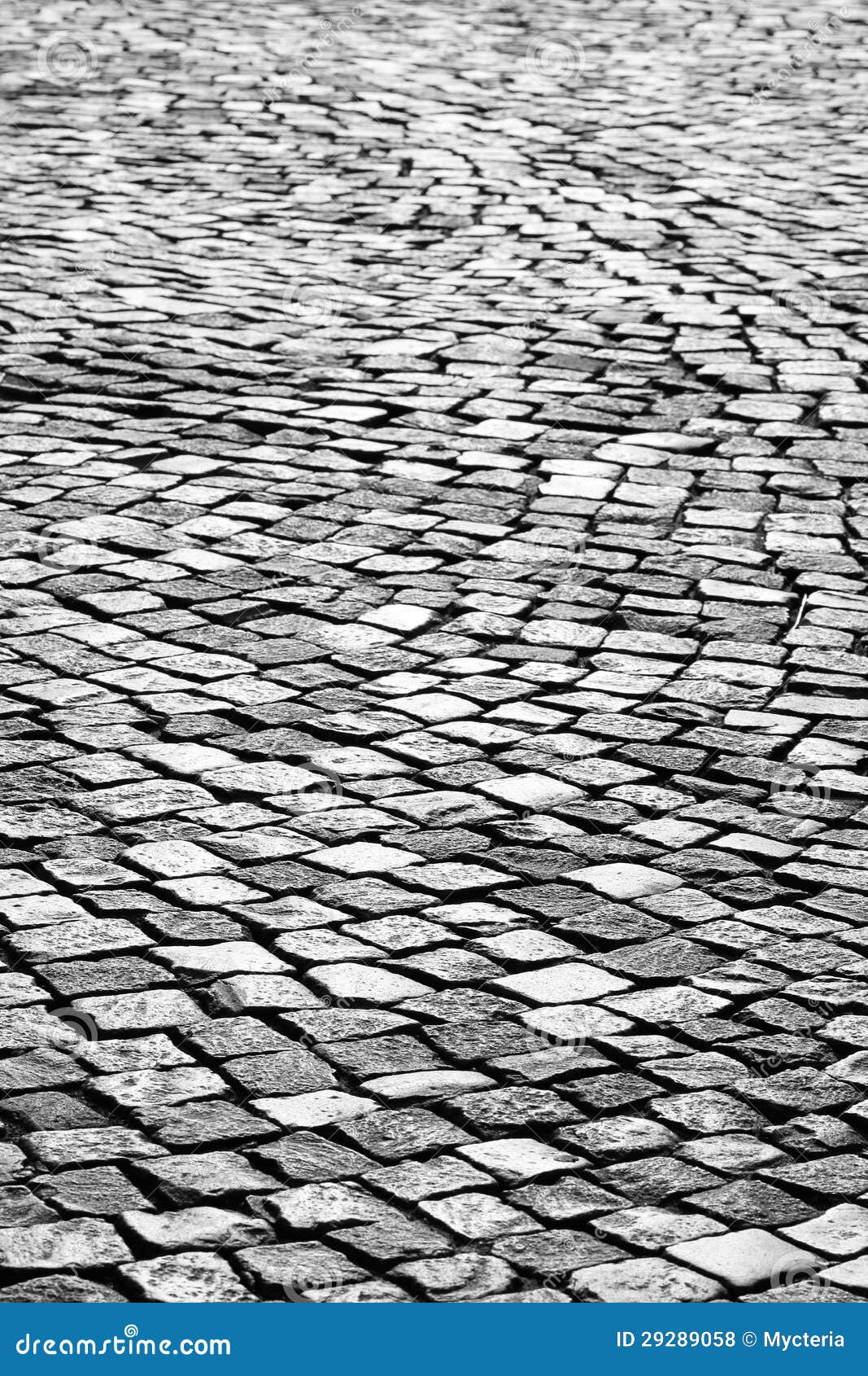 Cobblestone pavement stock photo. Image of city, closeup - 29289058