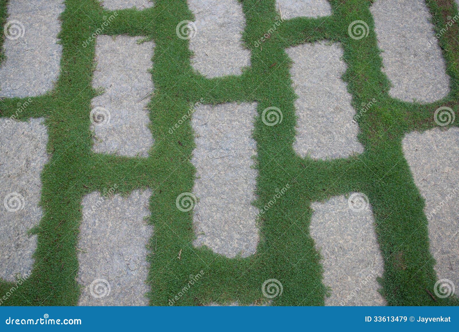 Cobblestone Pavement with Moss Growing Stock Image - Image of closeup ...